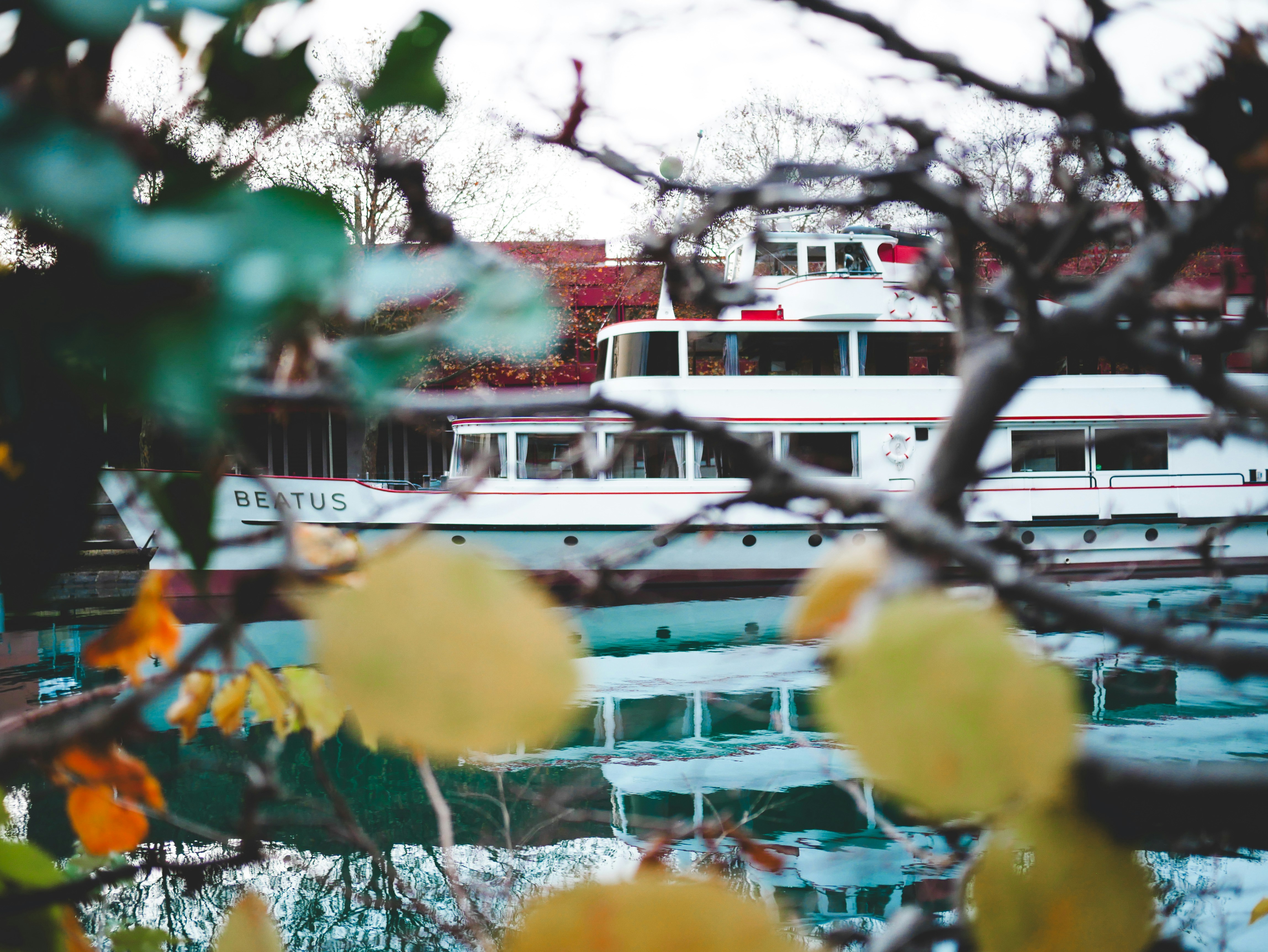 Reflections on the River: Boats Framed by Fall Foliage