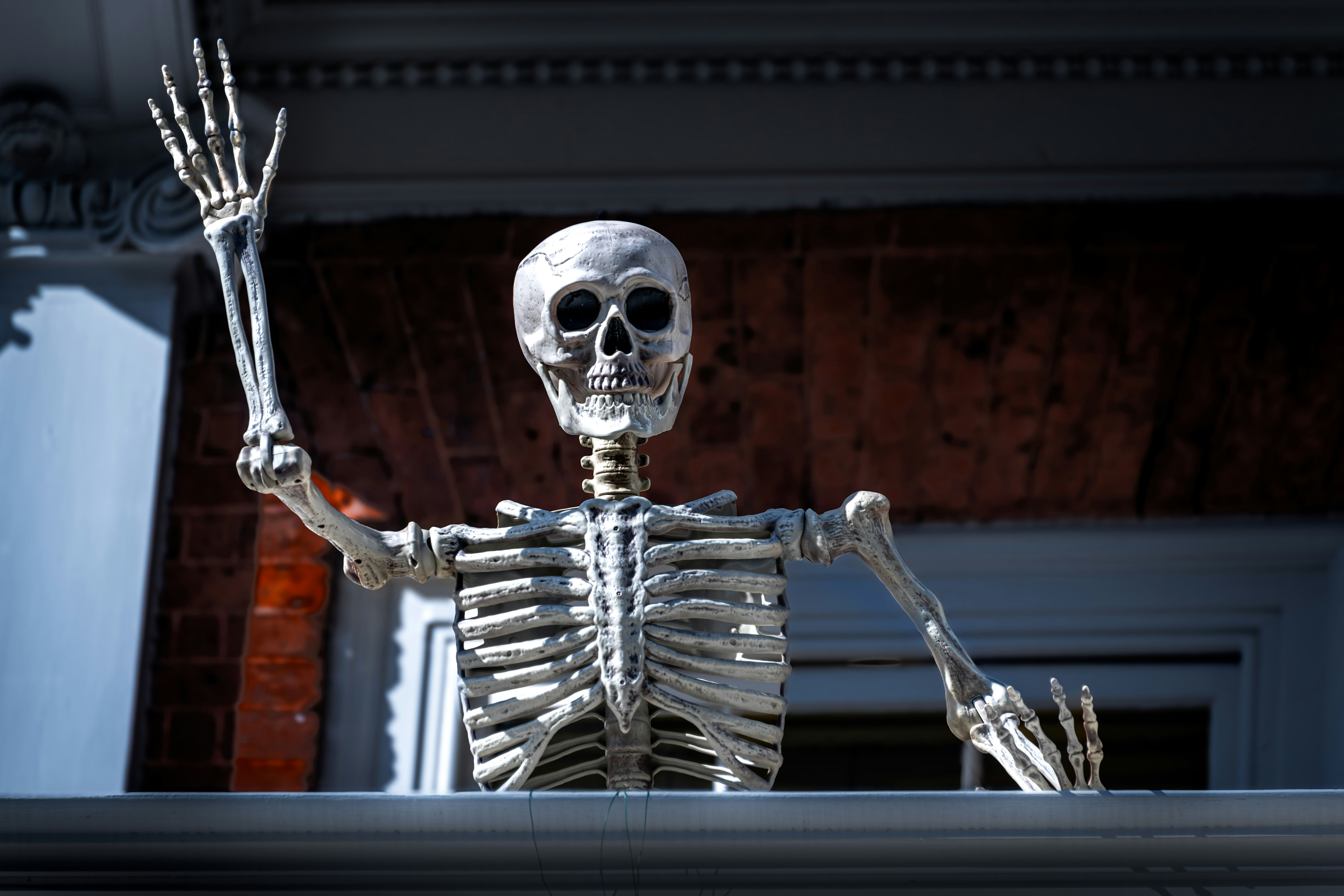 Skeleton decoration waving from a balcony of a historic brick mansion during Halloween.
