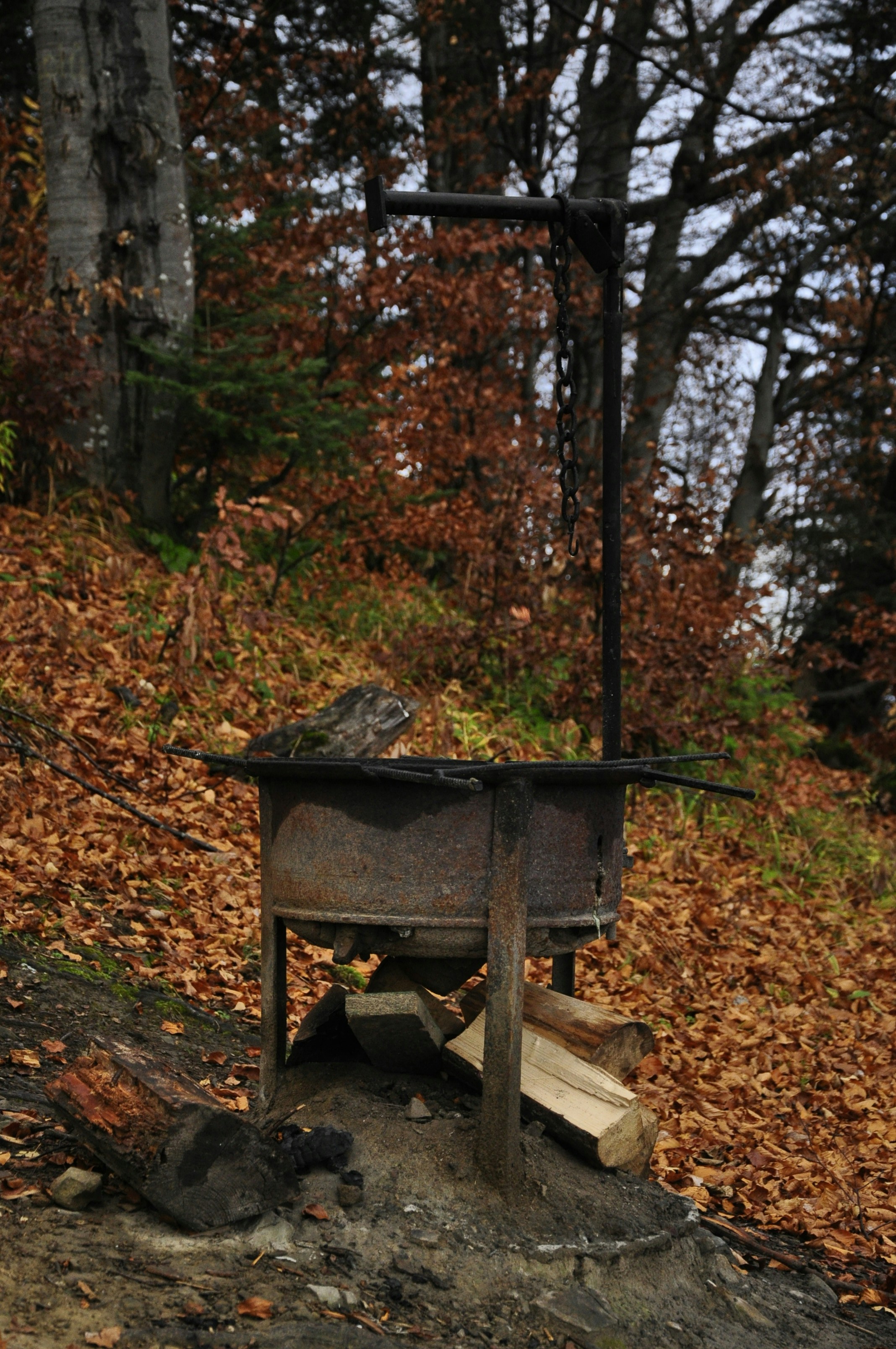 Autumn Hearth: Rusted Cauldron in a Leaf-Littered Forest
