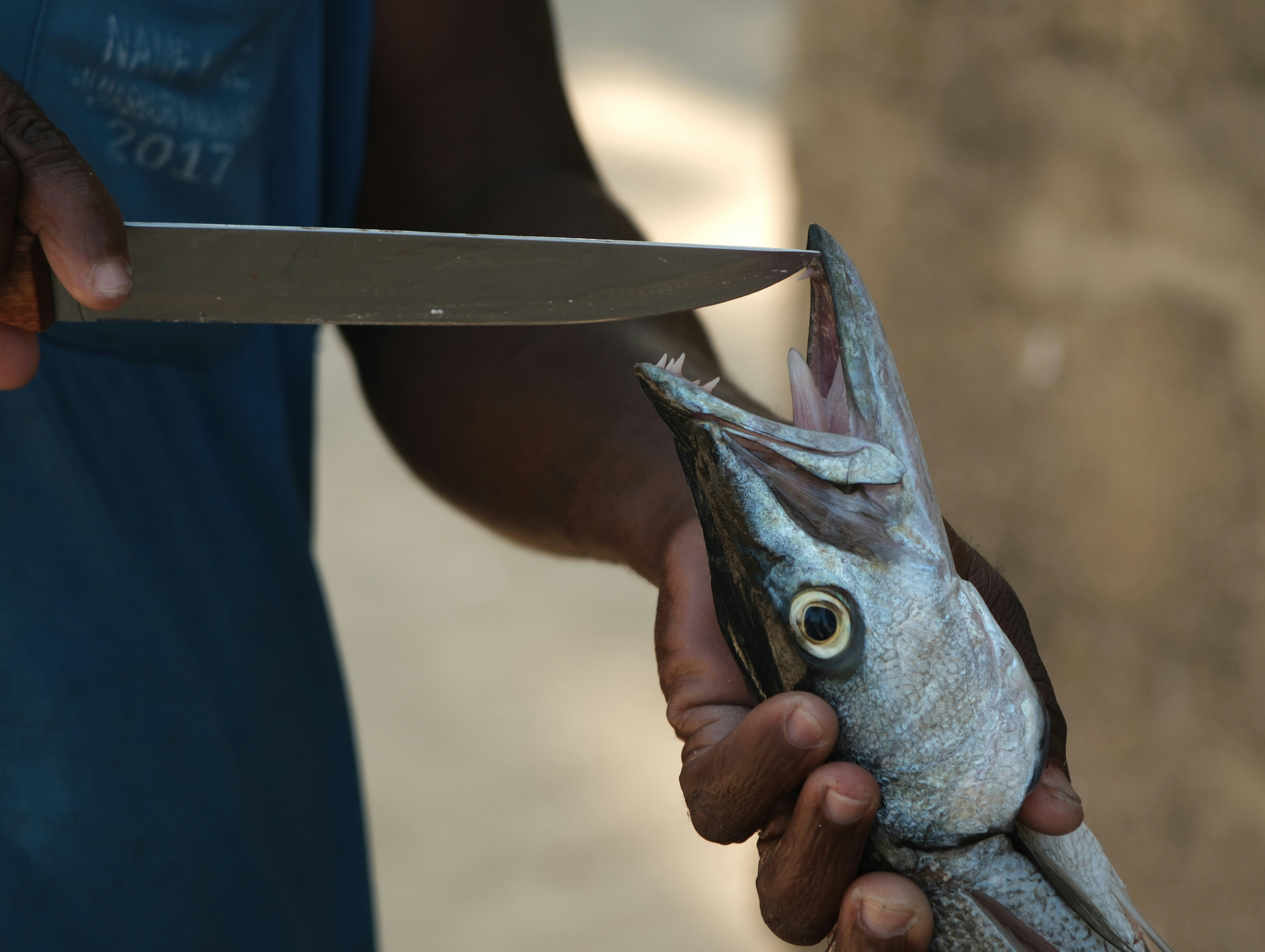 A fisherman holds his catch | A man holding a fish with a knife in his hand