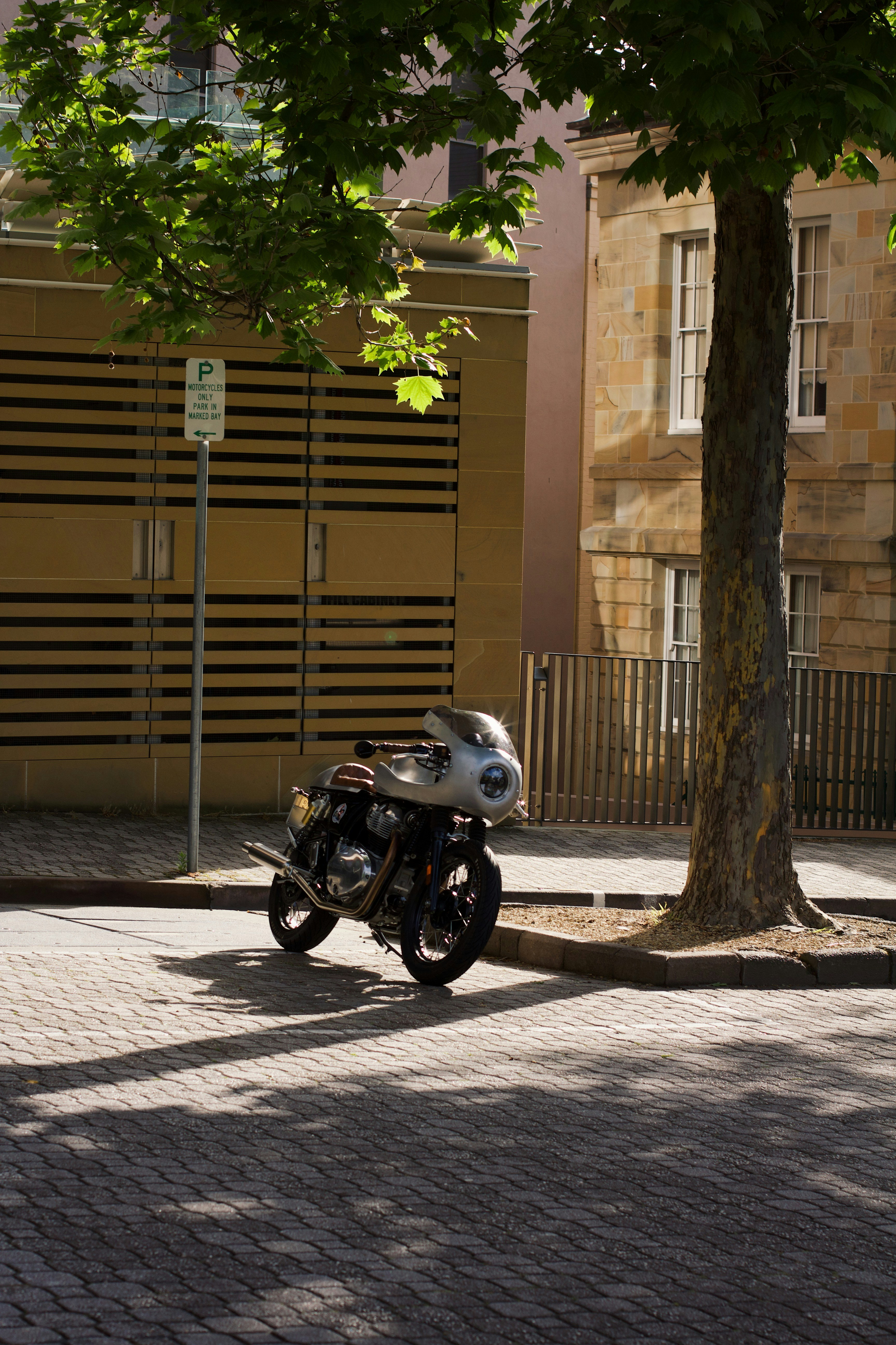 Midday Glide: A Vintage Café Racer Pauses Under Dappled City Light