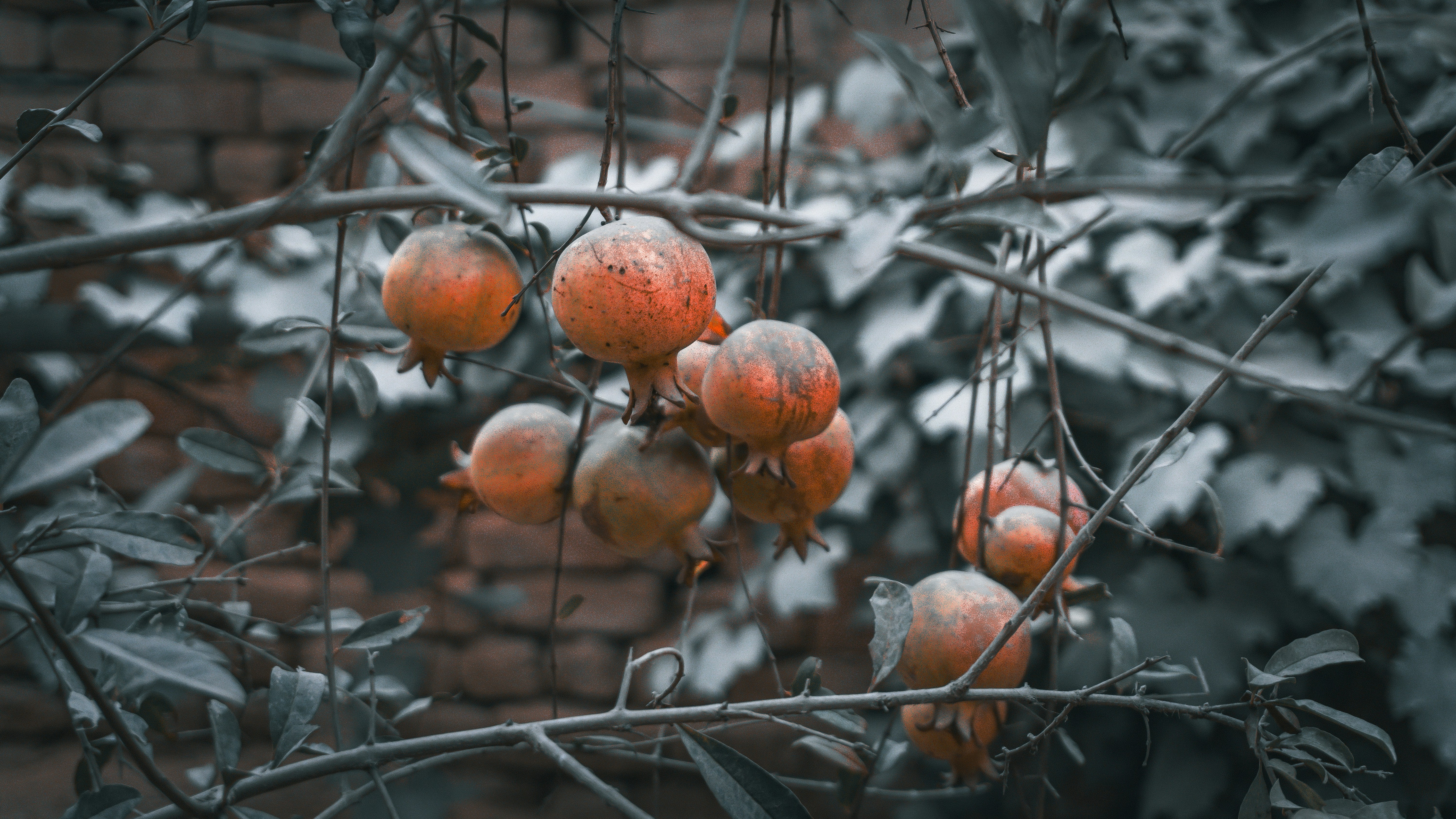 Photo by Syawish Rehman with Sony Alpha 6400