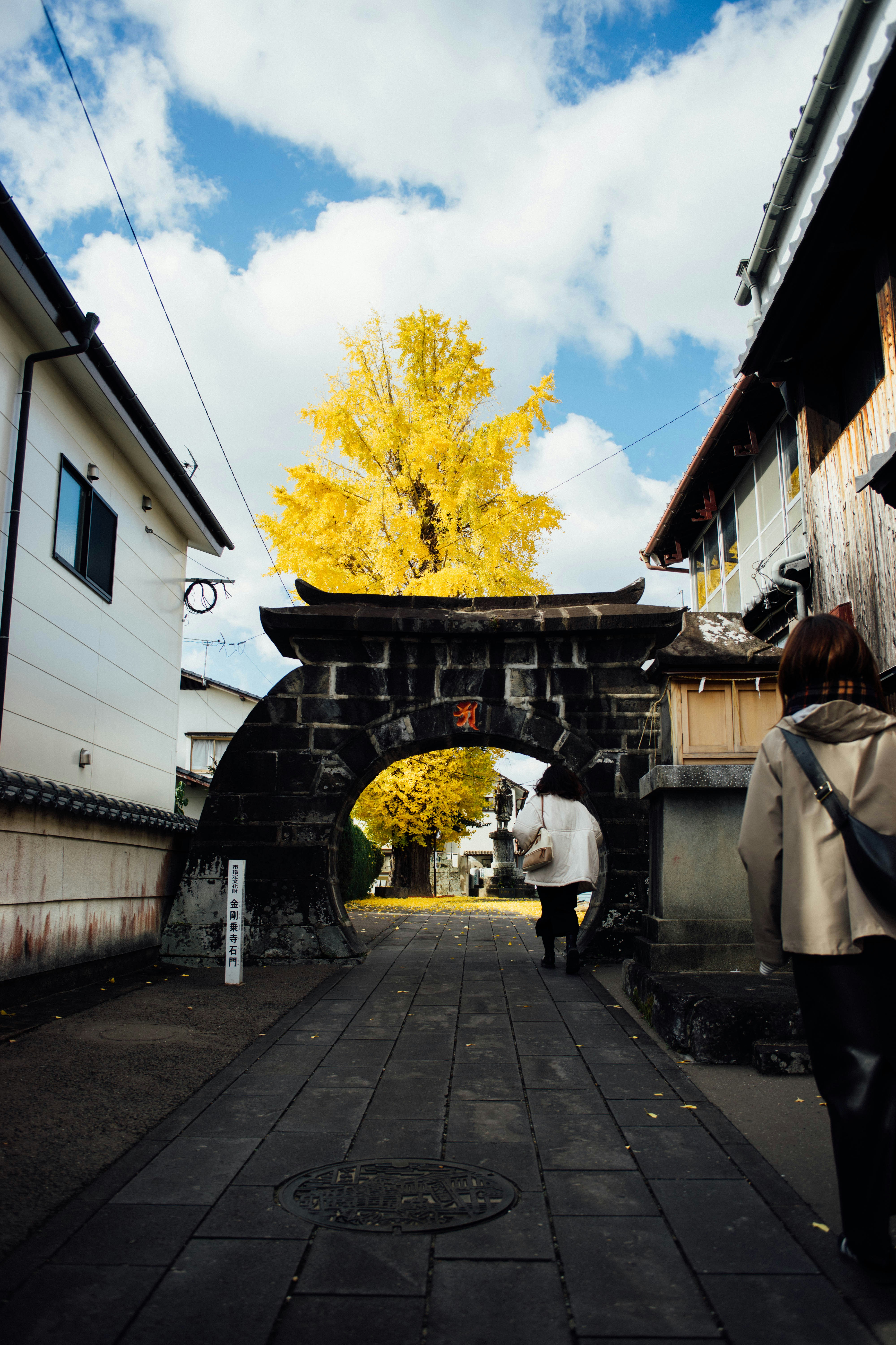 Ginkgo Gate: A Sunlit Alley Framed by an Ancient Stone Arch