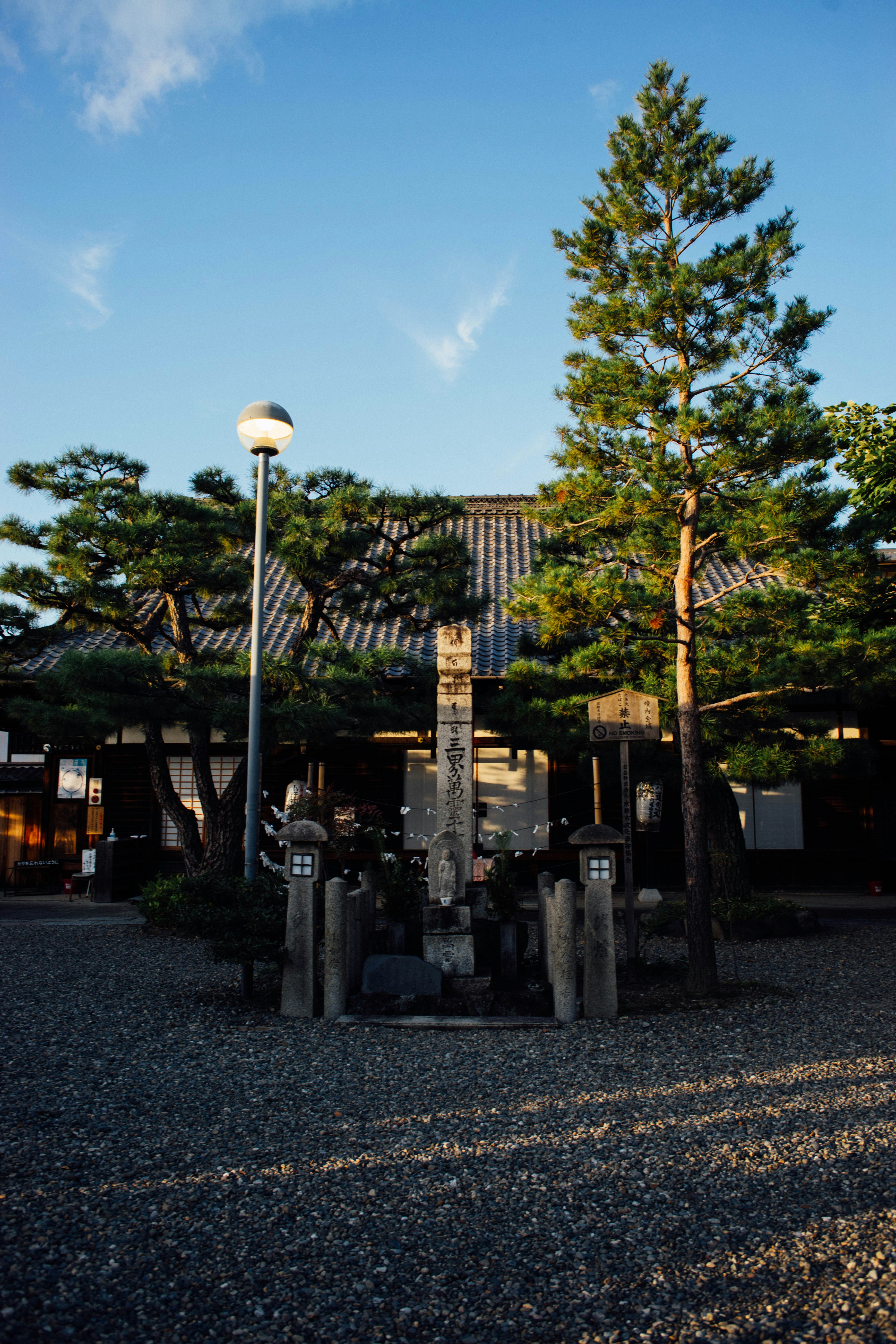 Photo by Leopold Maitre with Sony Alpha 7