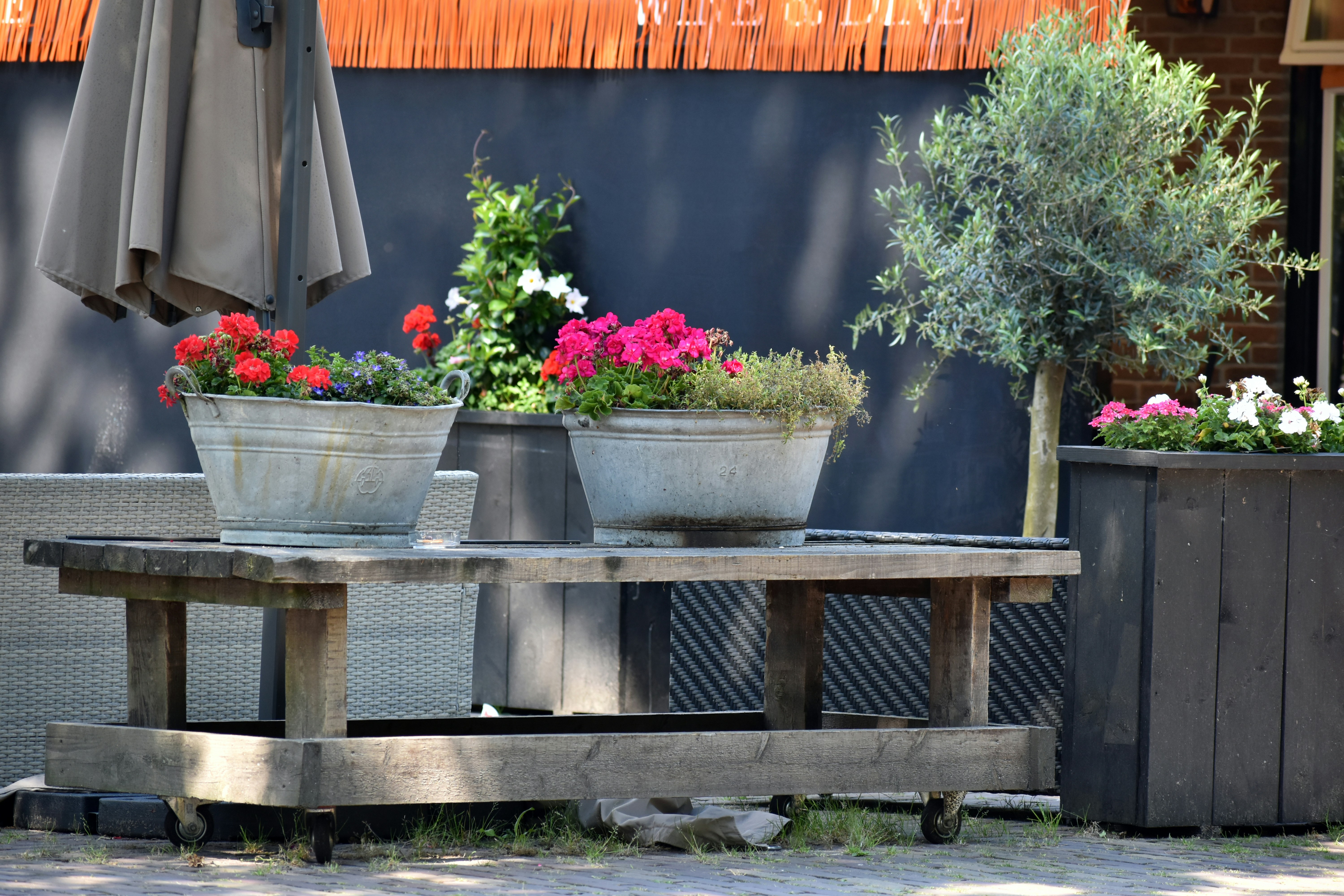 Colorful Blooms on a Weathered Picnic Table in a Quiet Courtyard