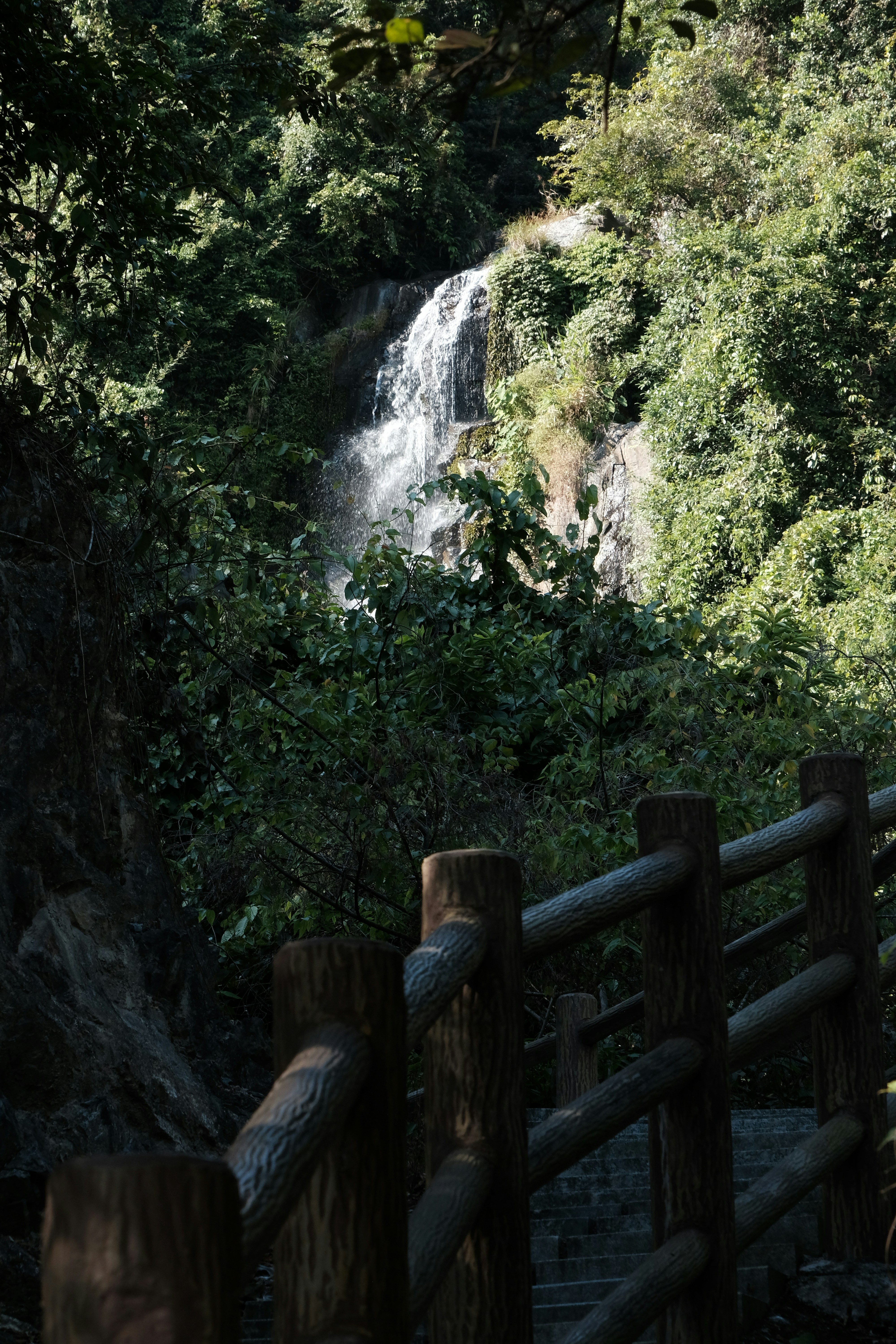 Emerald Cascade Beyond the Forest Railings