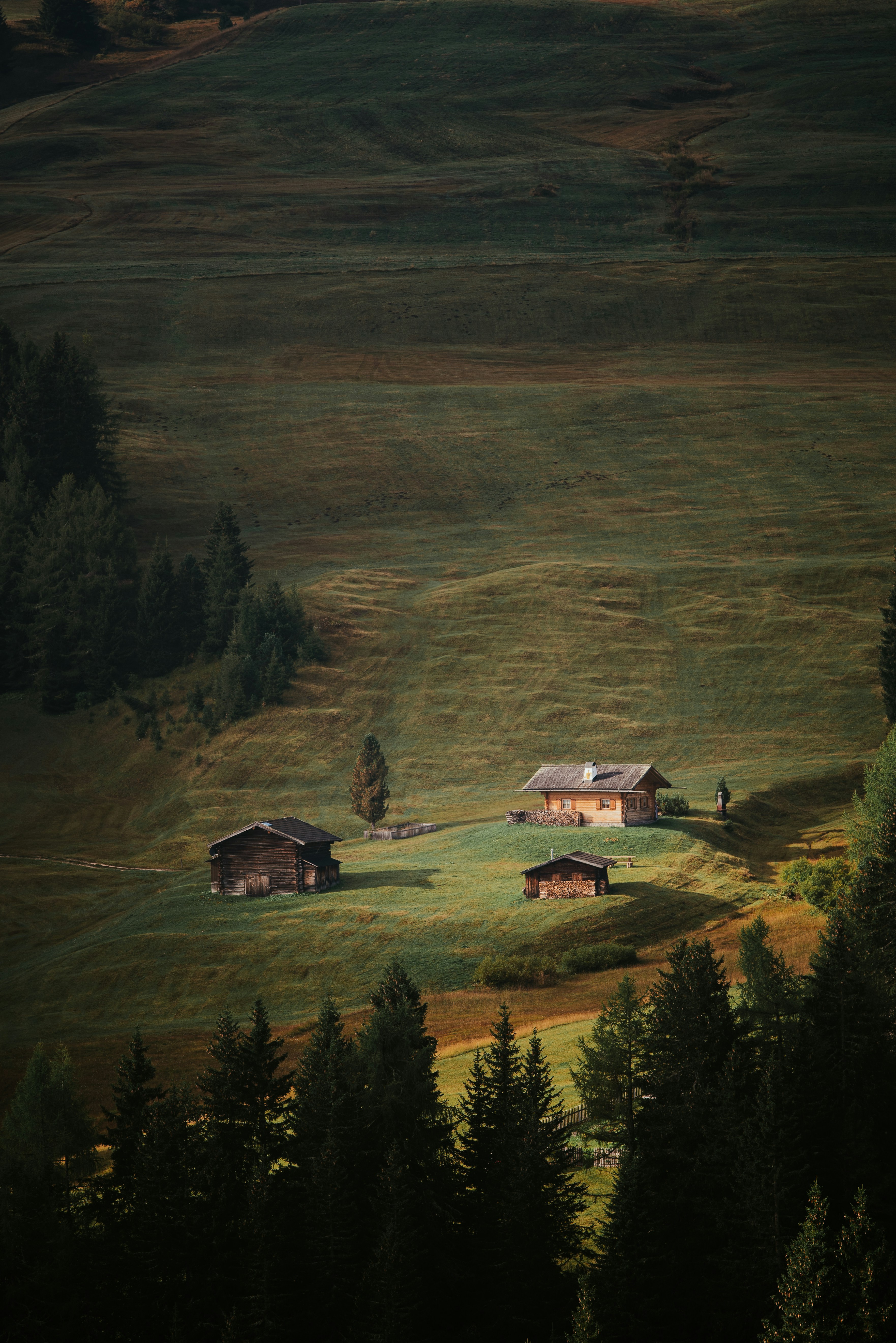 Photo by Silas Schneider with Nikon D750