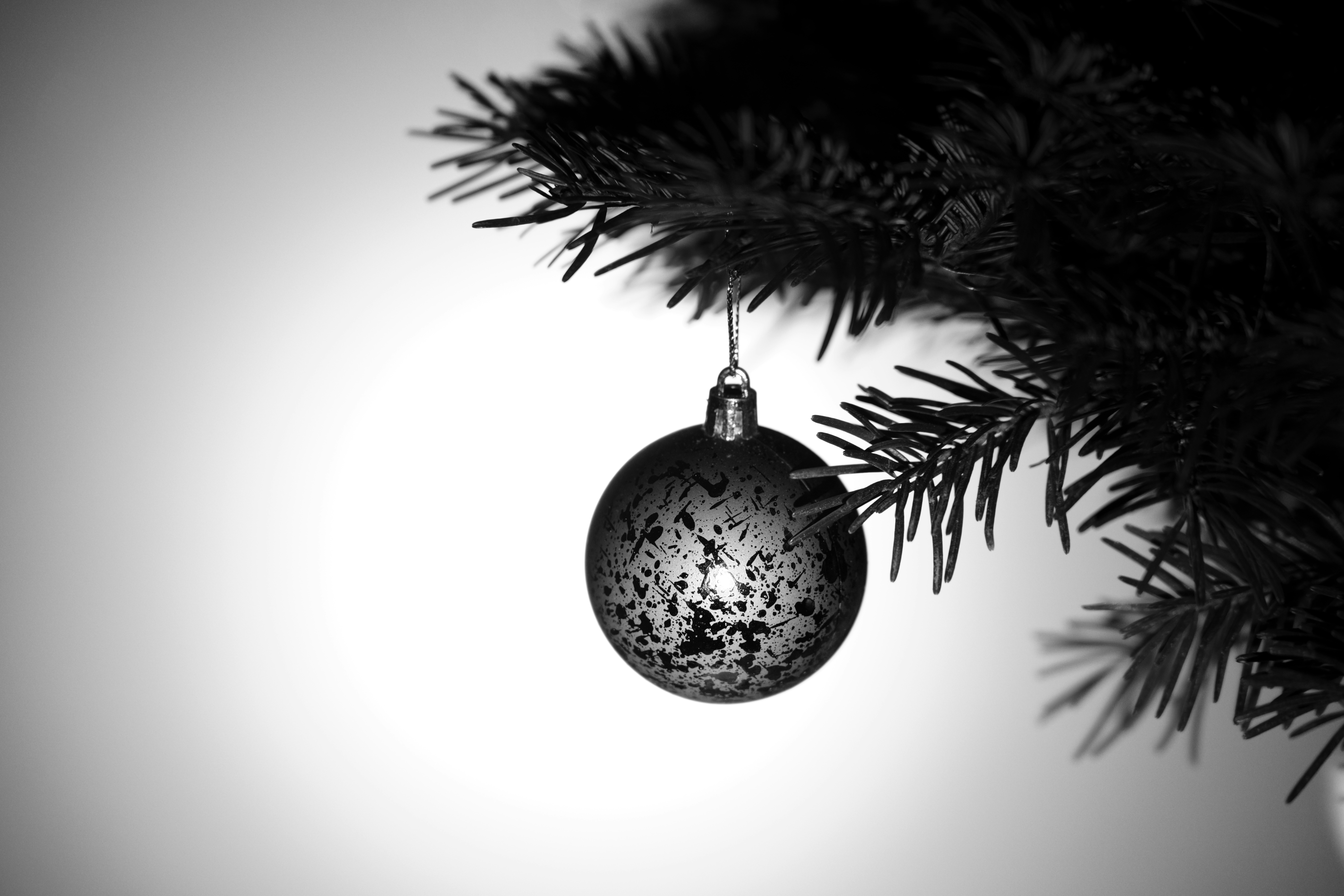 Monochrome Ornament Amid Pine Needles: A Close-Up Study