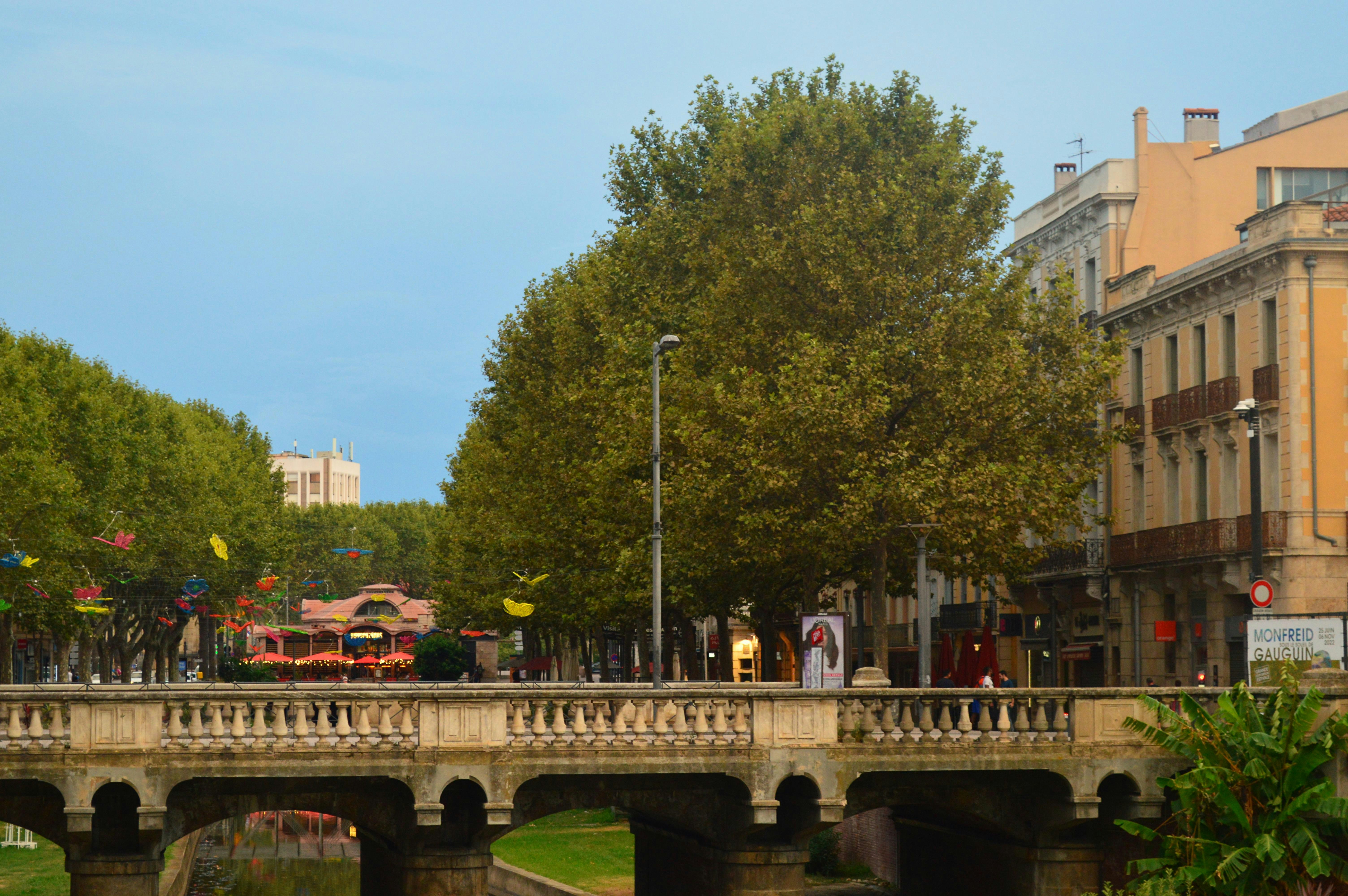 A bridge over a river in a city photo – Free Perpignan Image on Unsplash