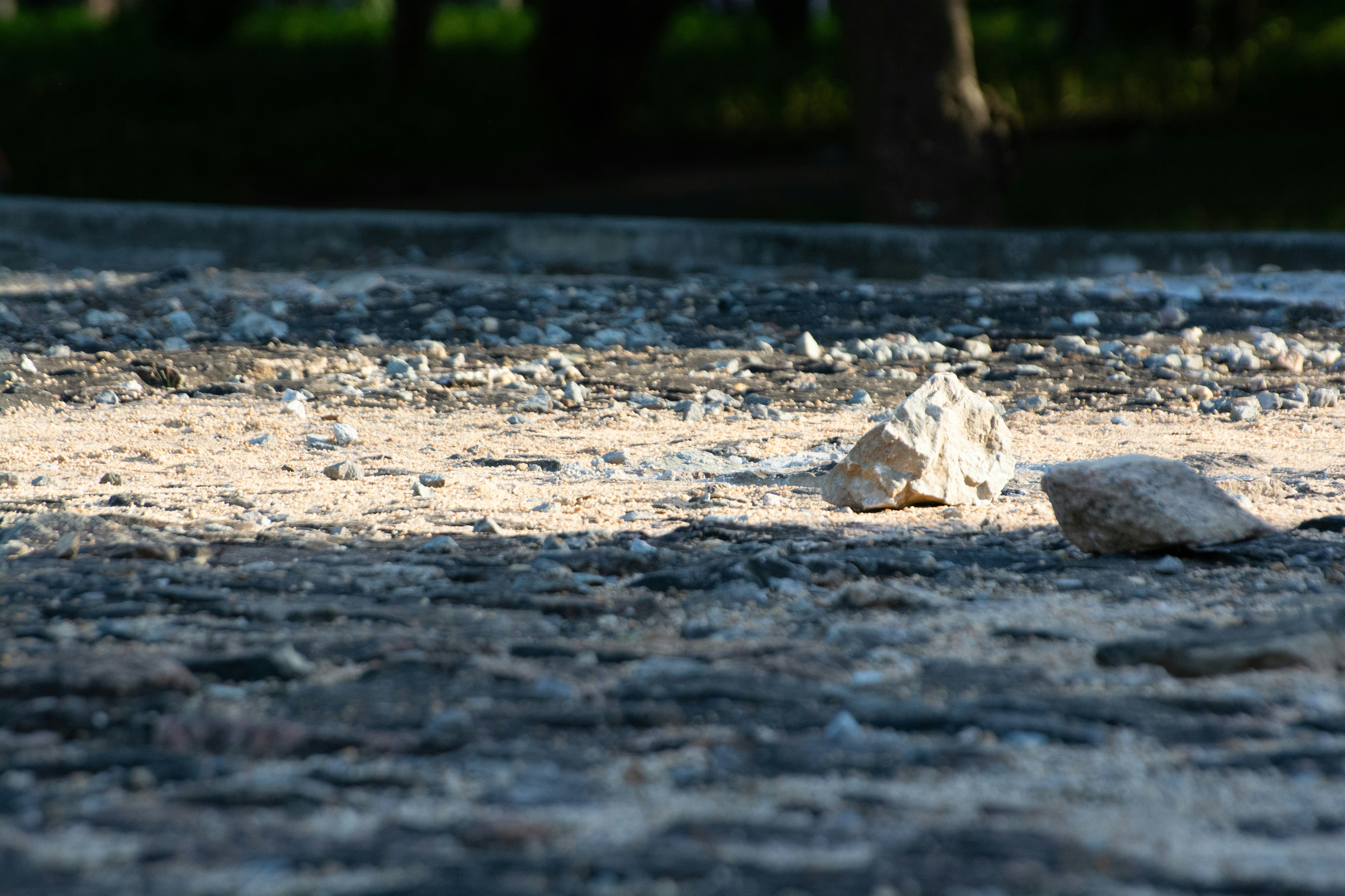 Ground-Level Geometry: Sunlit Gravel and a Dominant Pebble in Focus