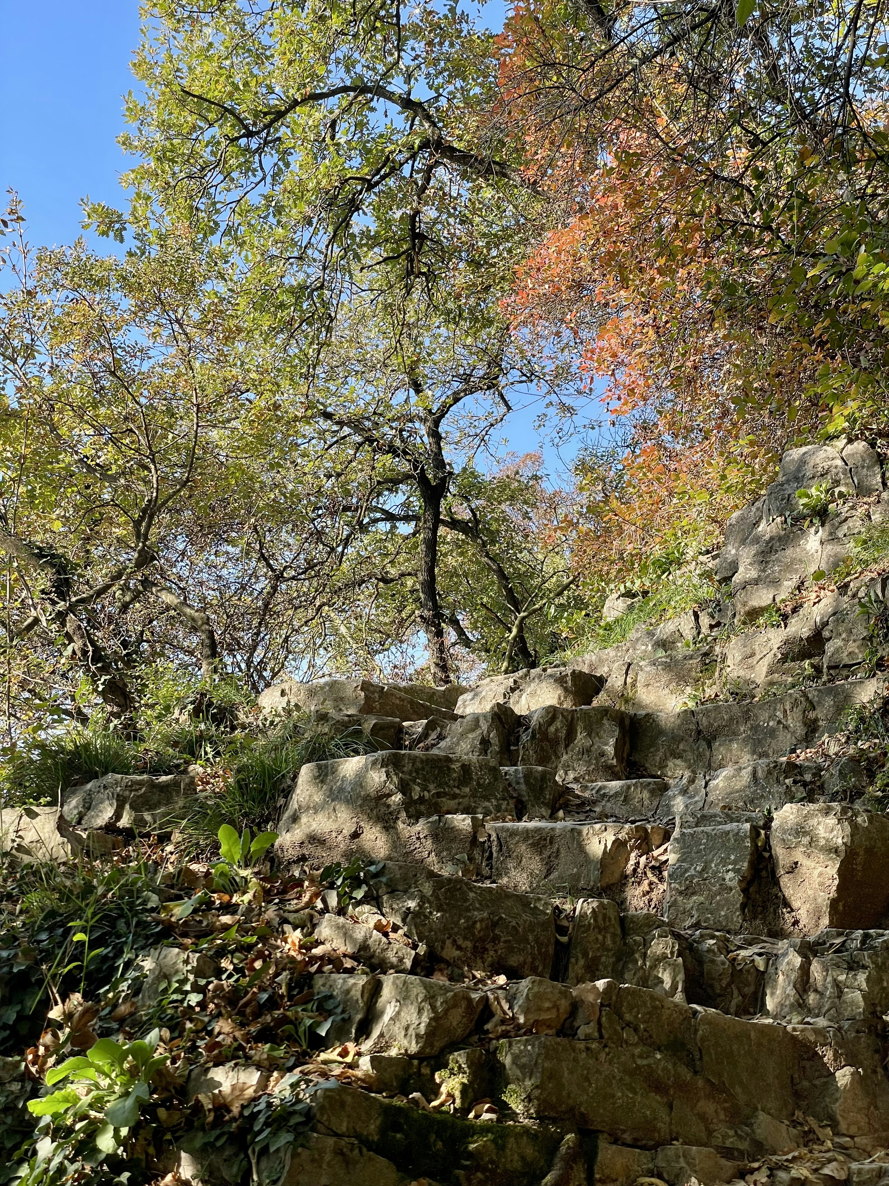 Autumn's Ascent: Nature's Stone Stairway