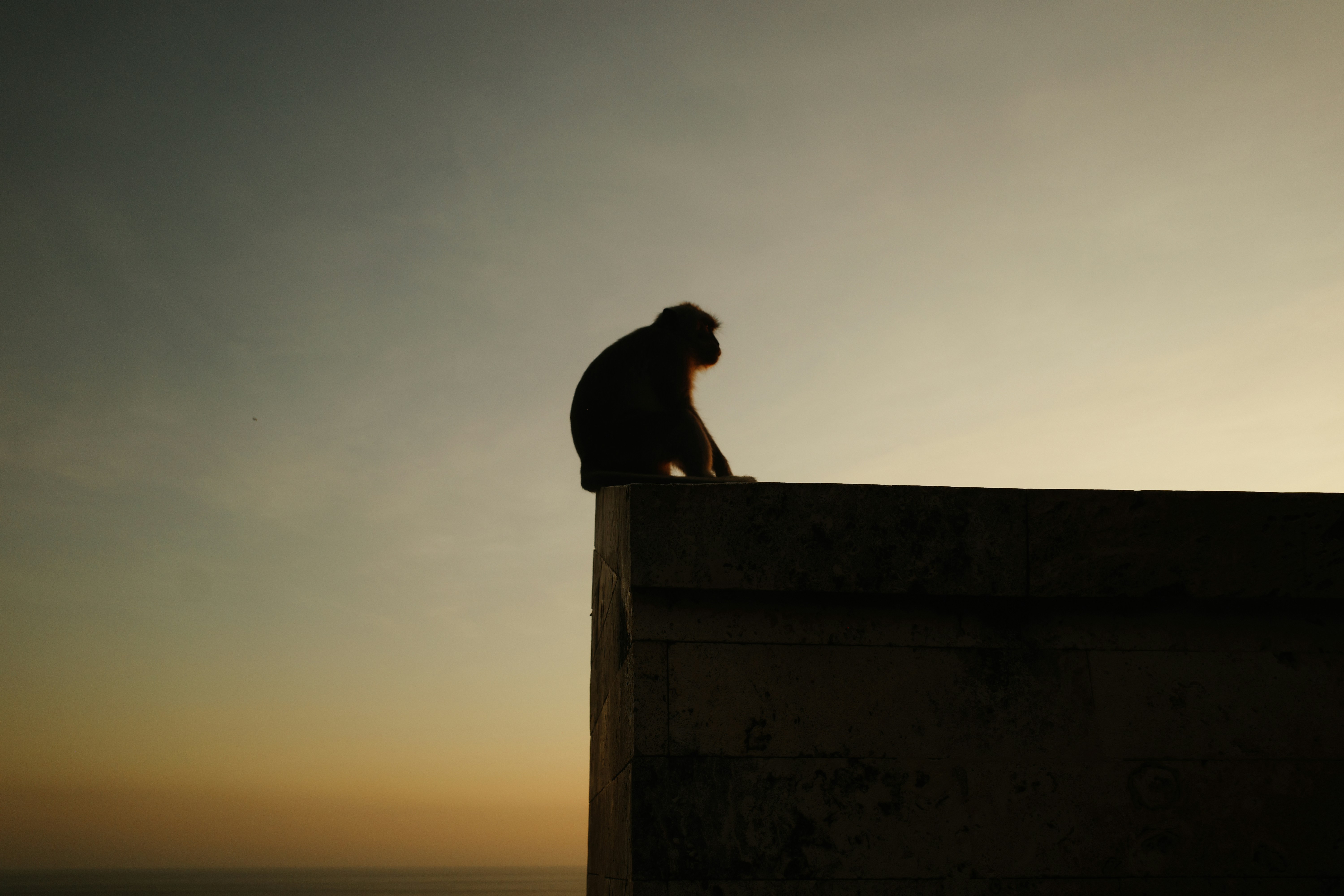 Dusk Silhouette on the Rooftop Edge