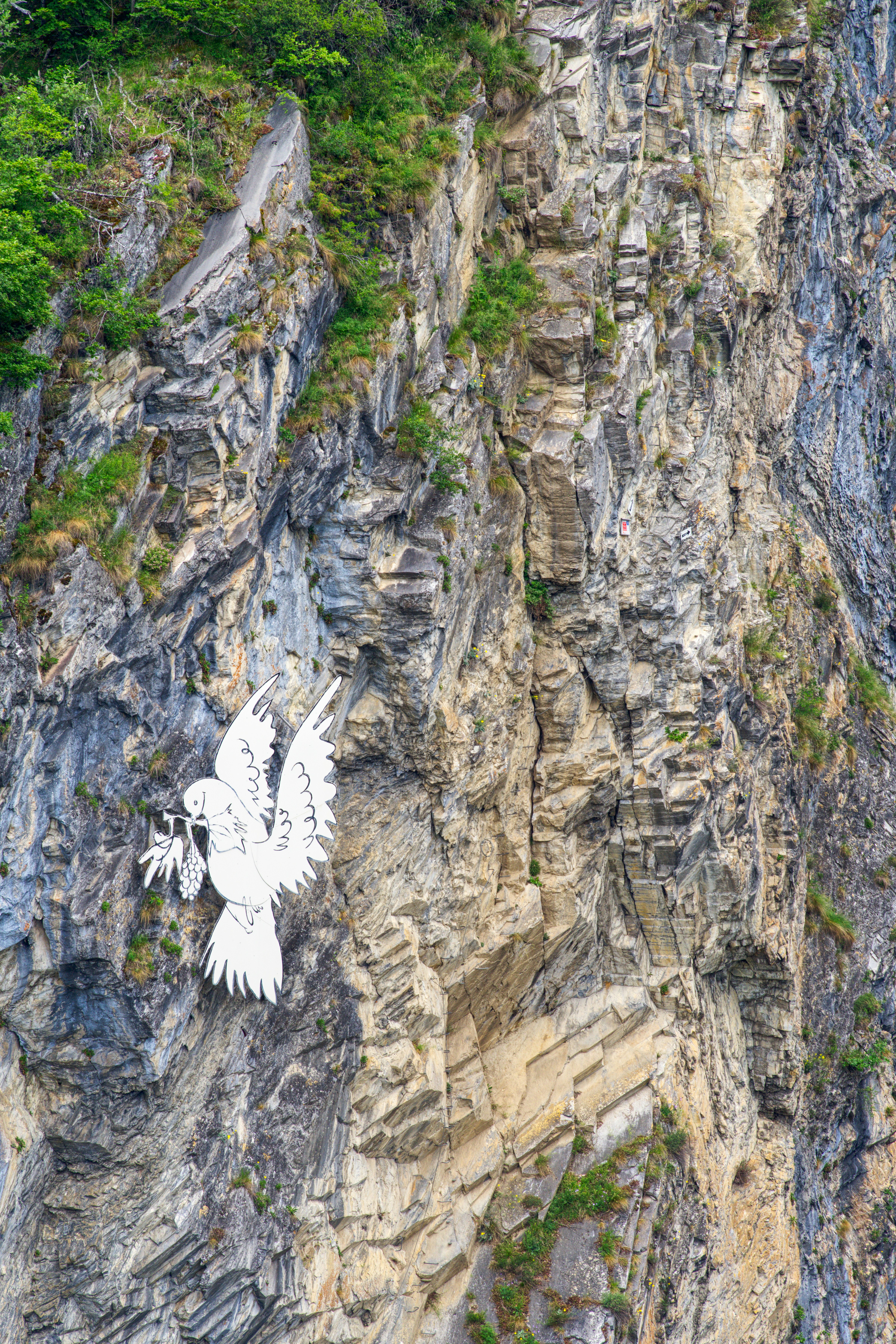 White Parrot Silhouette Drifts Across a Rugged Cliff Face