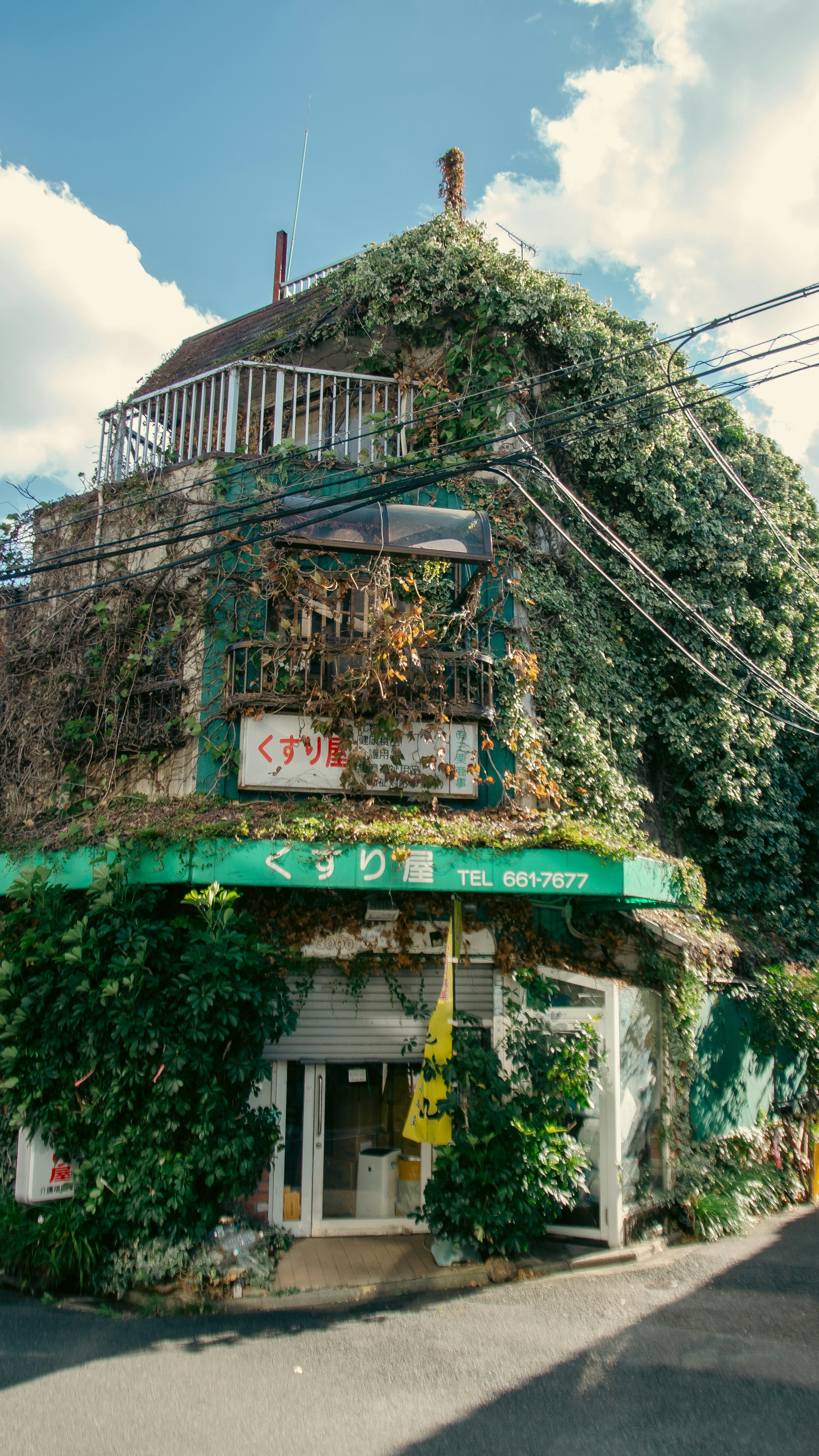 Vine-Wrapped Corner Shop Under a Web of Wires