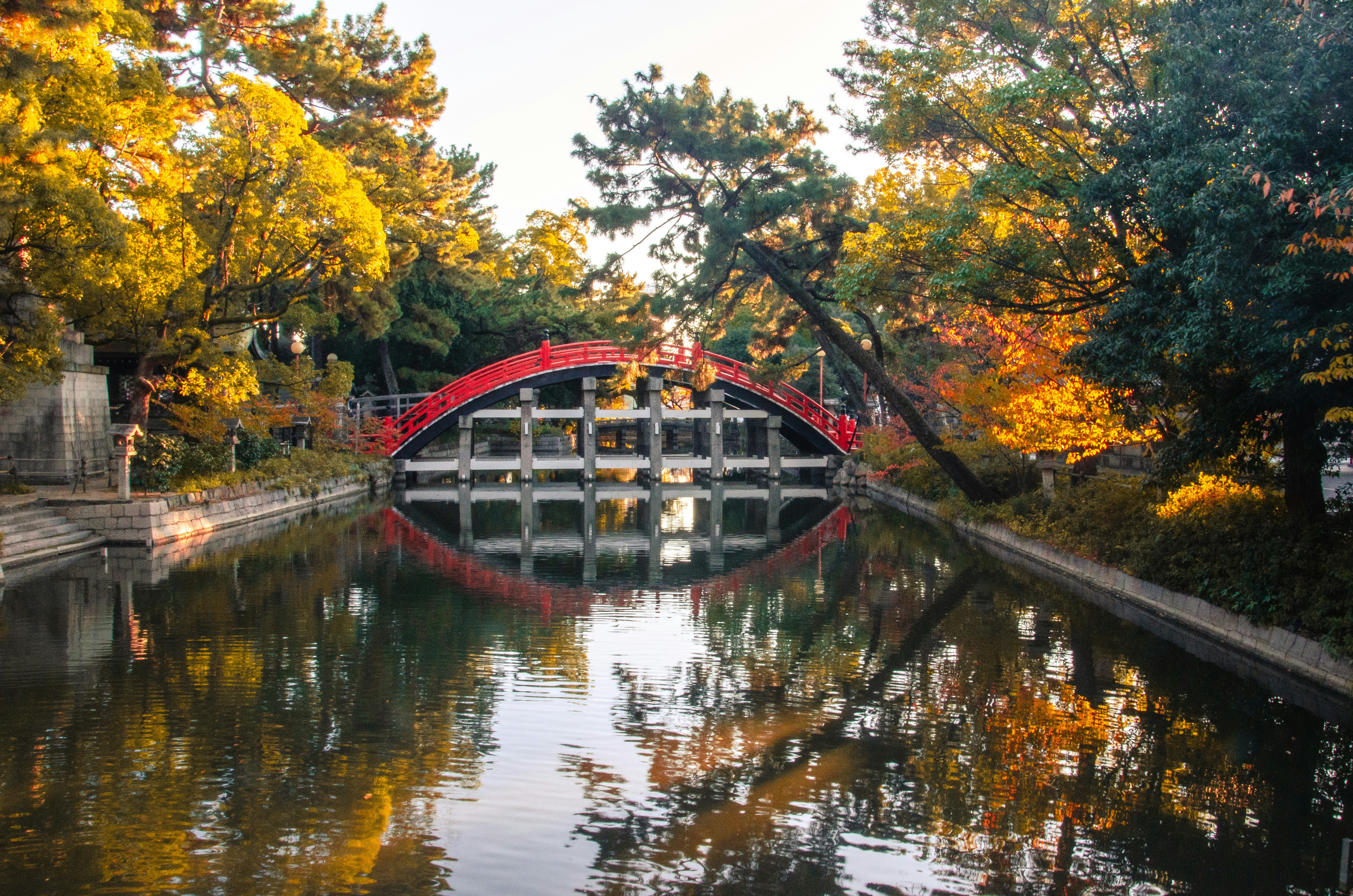 Photo by Ale with Nikon D5100