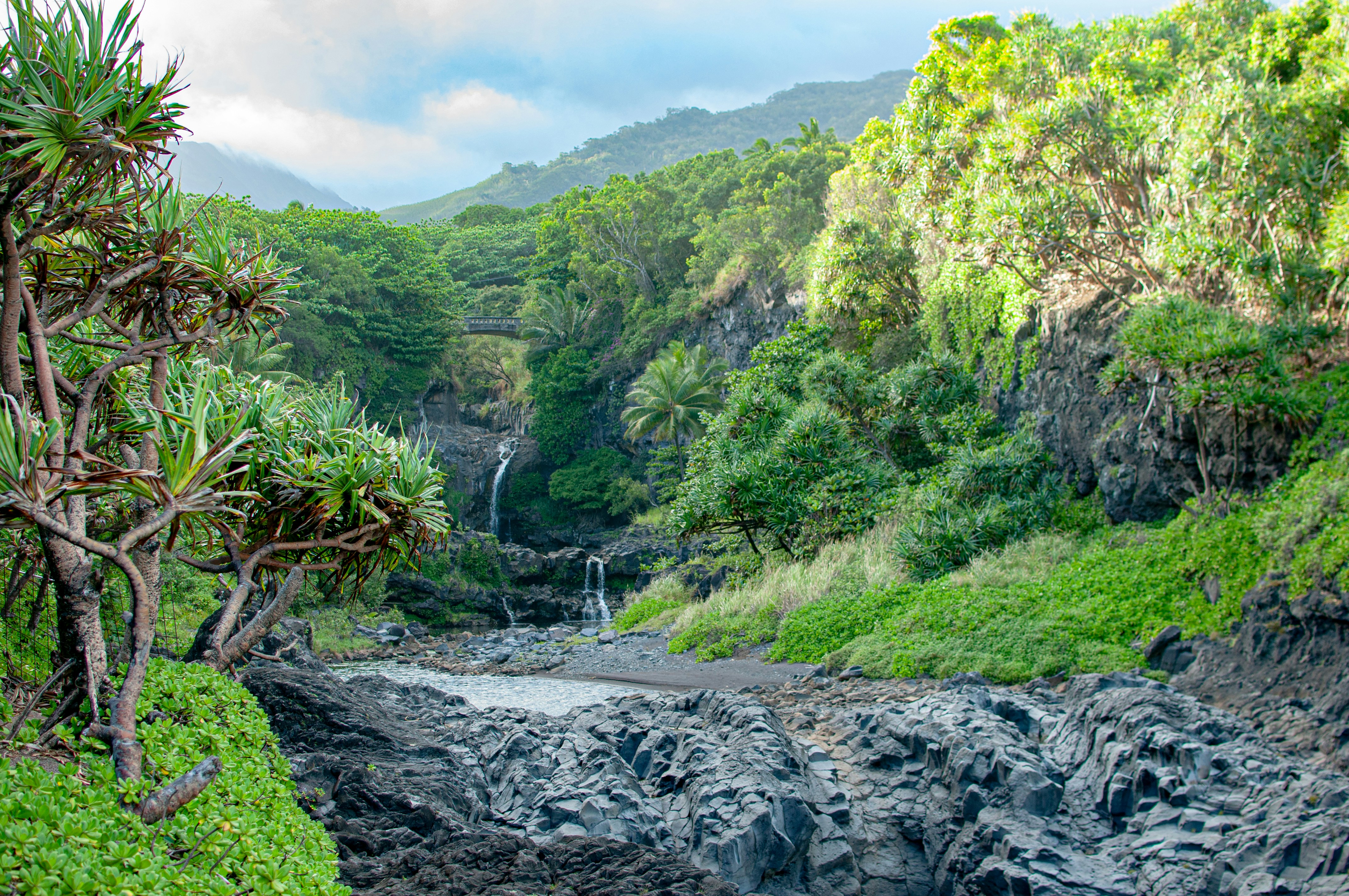 Lush greenery and rocky terrain surround a gentle waterfall in Haleakala National Park under a cloudy sky.