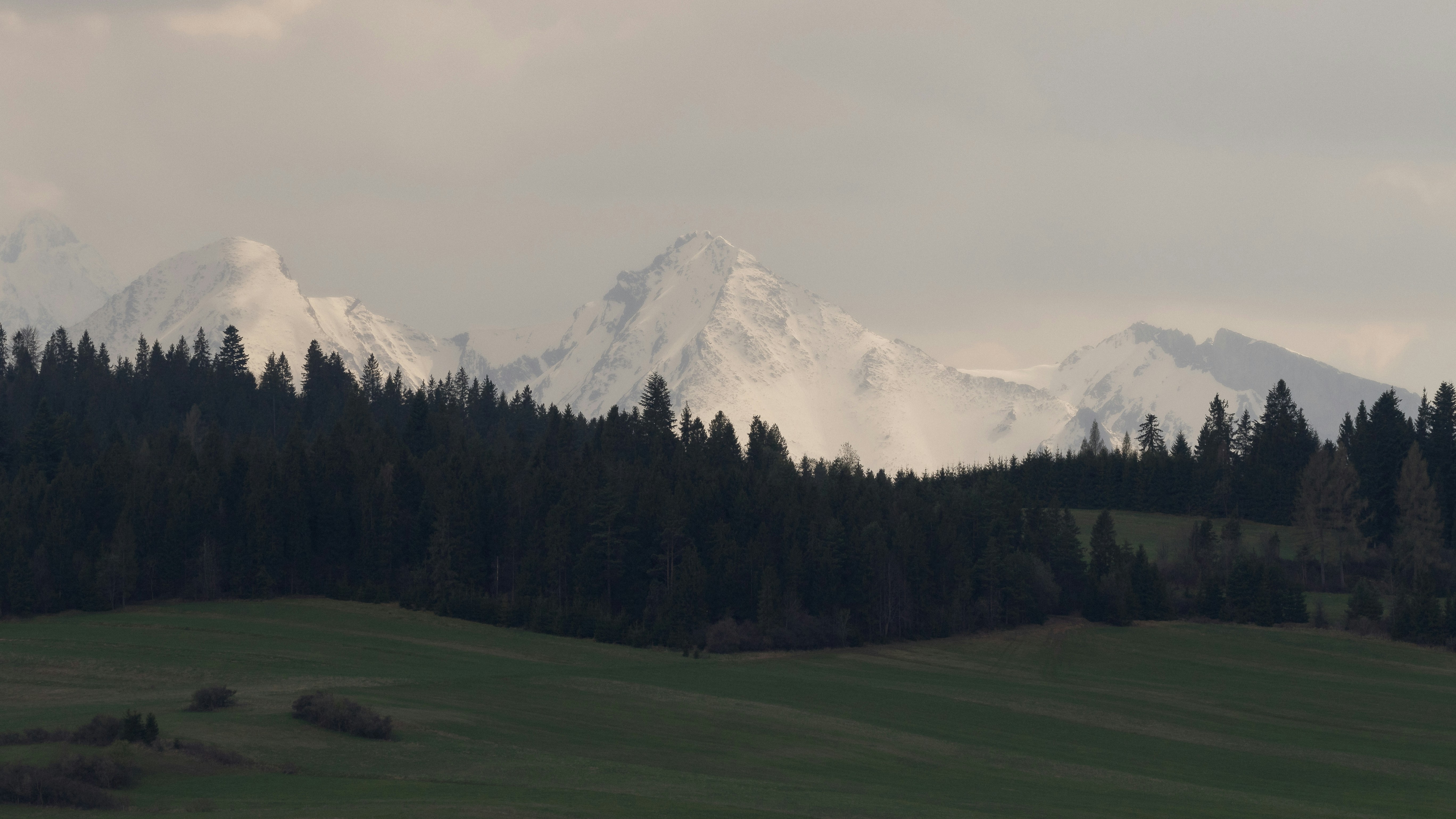 Alpine Crown Over a Quiet Valley of Pines