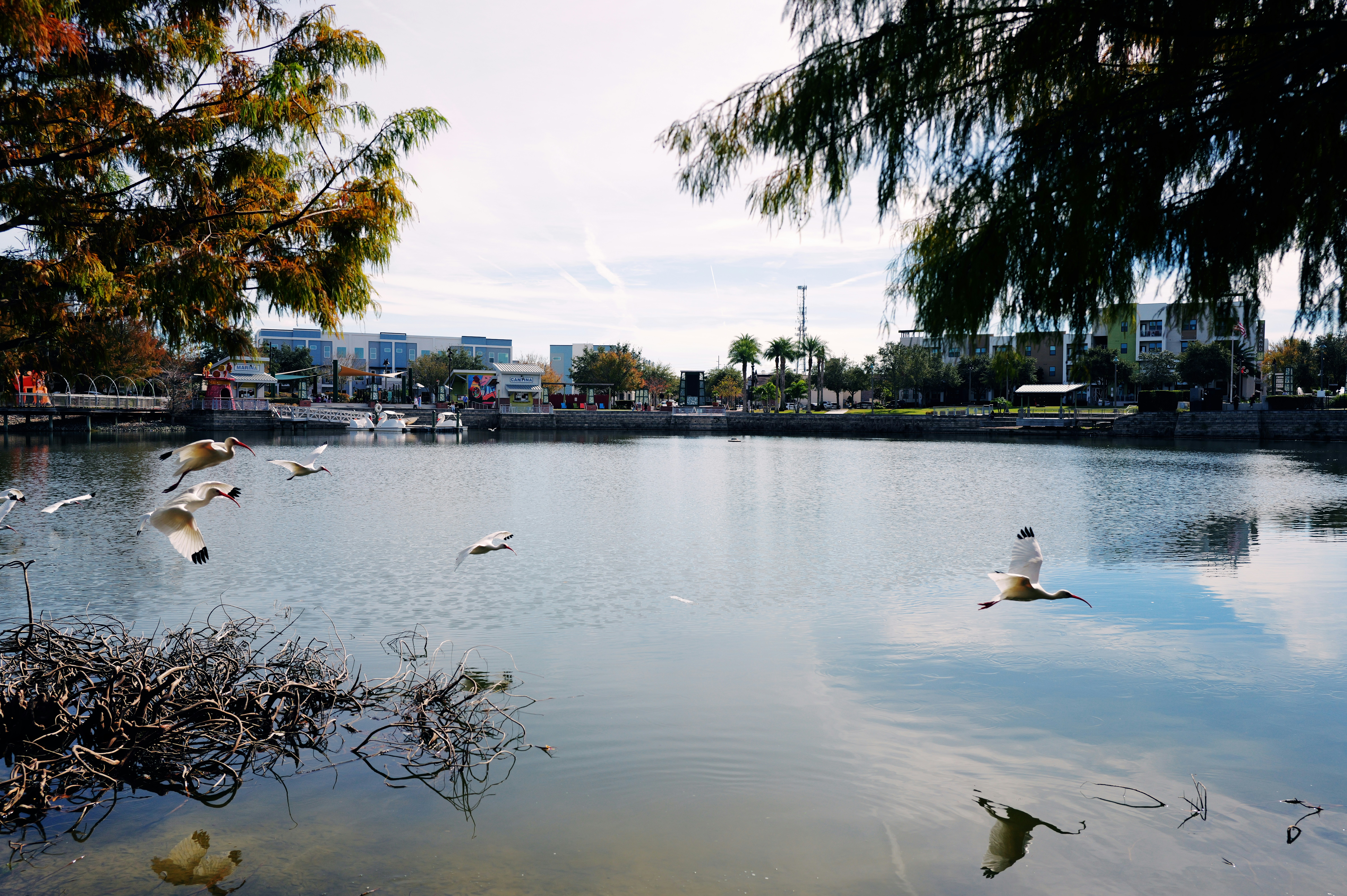 Urban Serenity by the Waterside