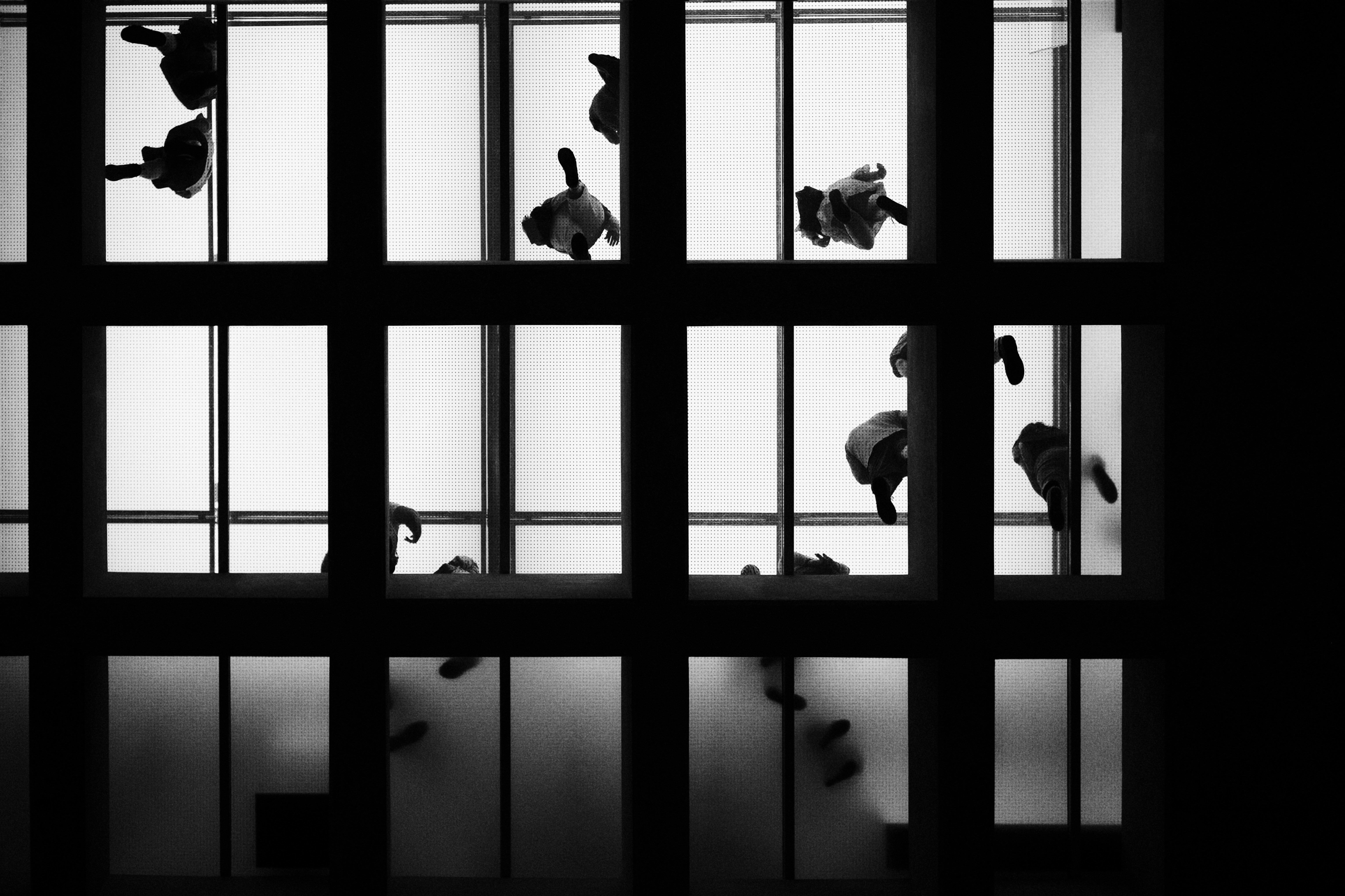 A black and white photo of a jail cell photo – Free Animal Image on ...