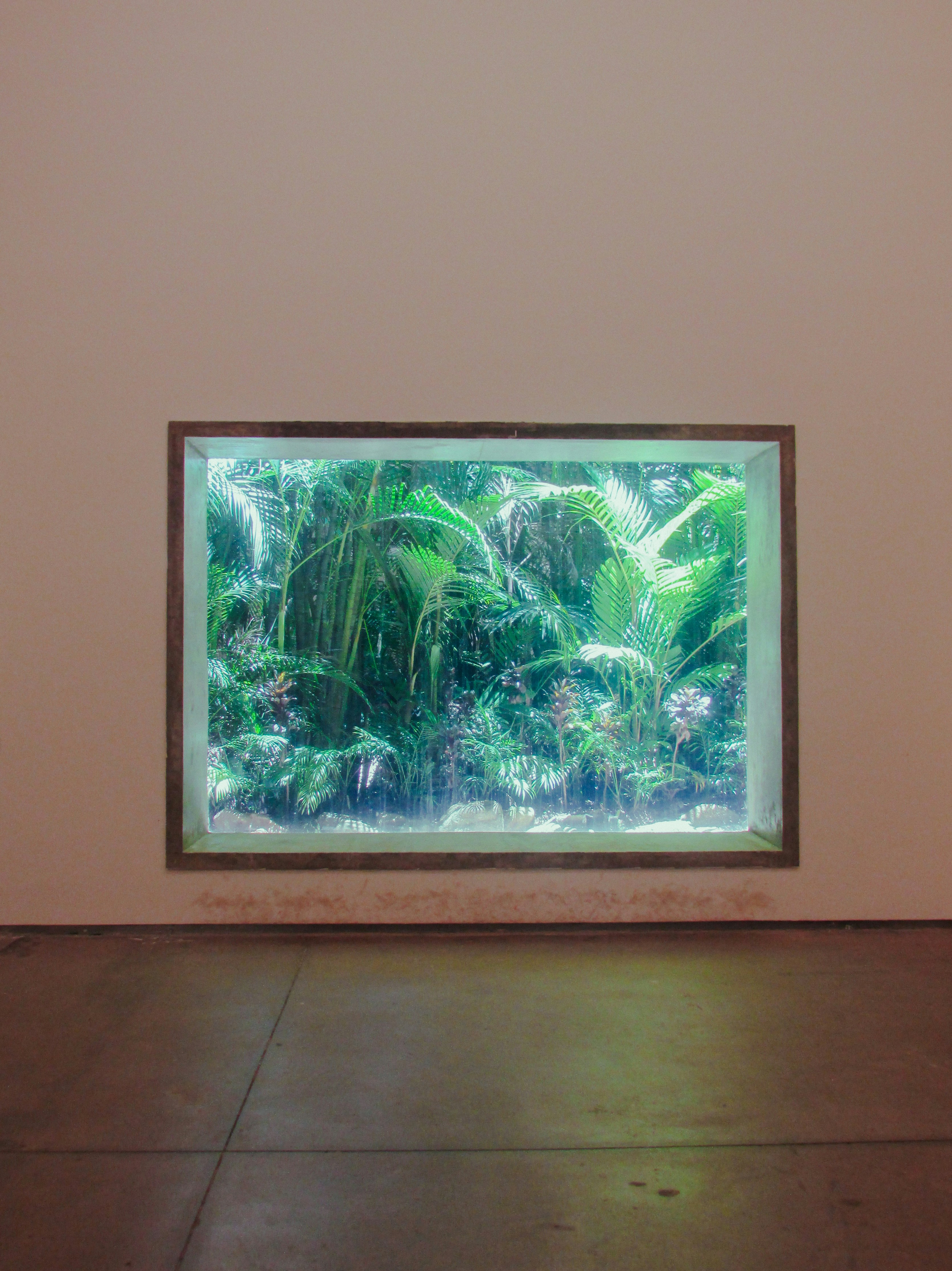 Large window display showcasing lush tropical foliage against a minimalist wall.
