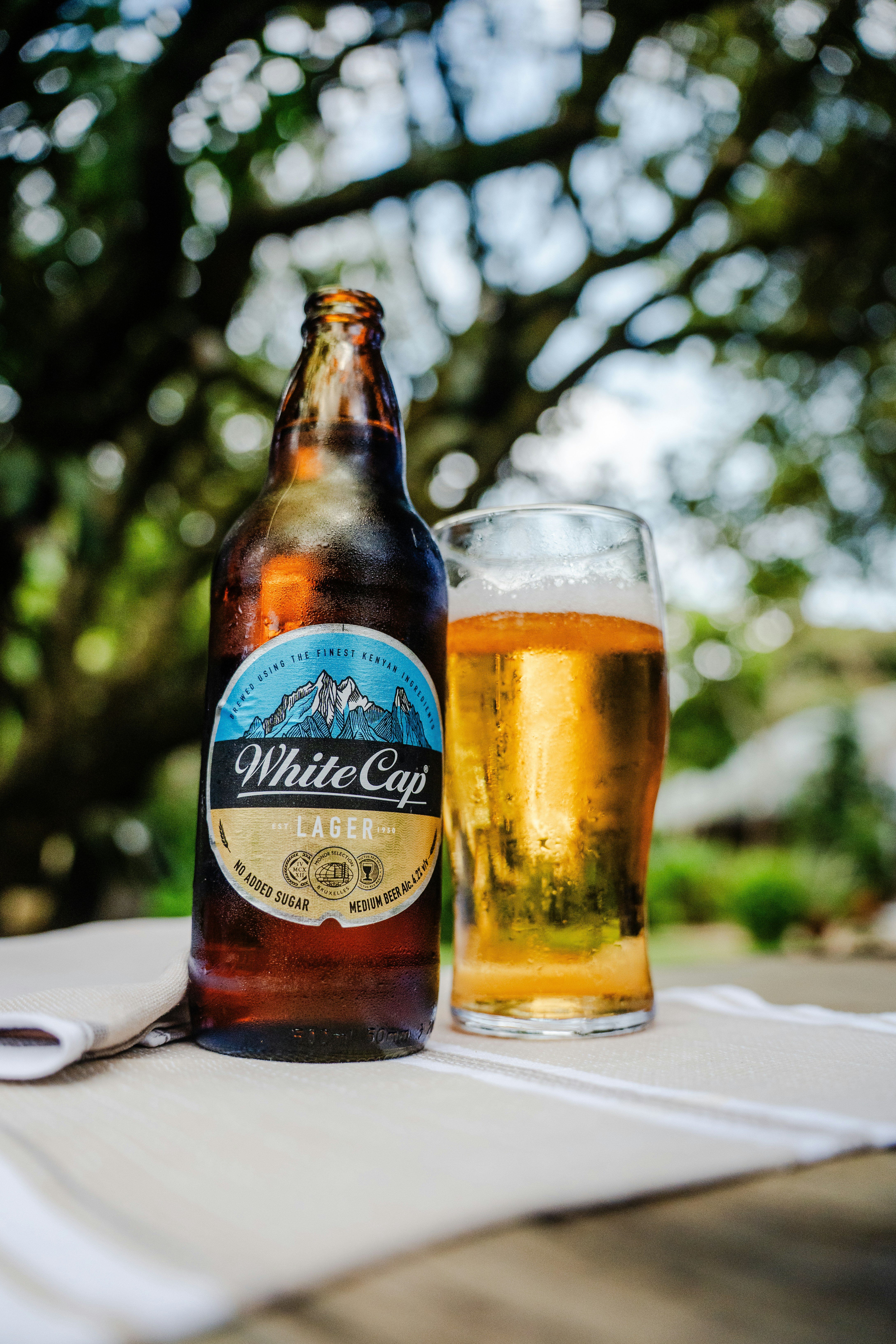 A bottle of beer and a glass on a table photo – Free Beer Image on Unsplash