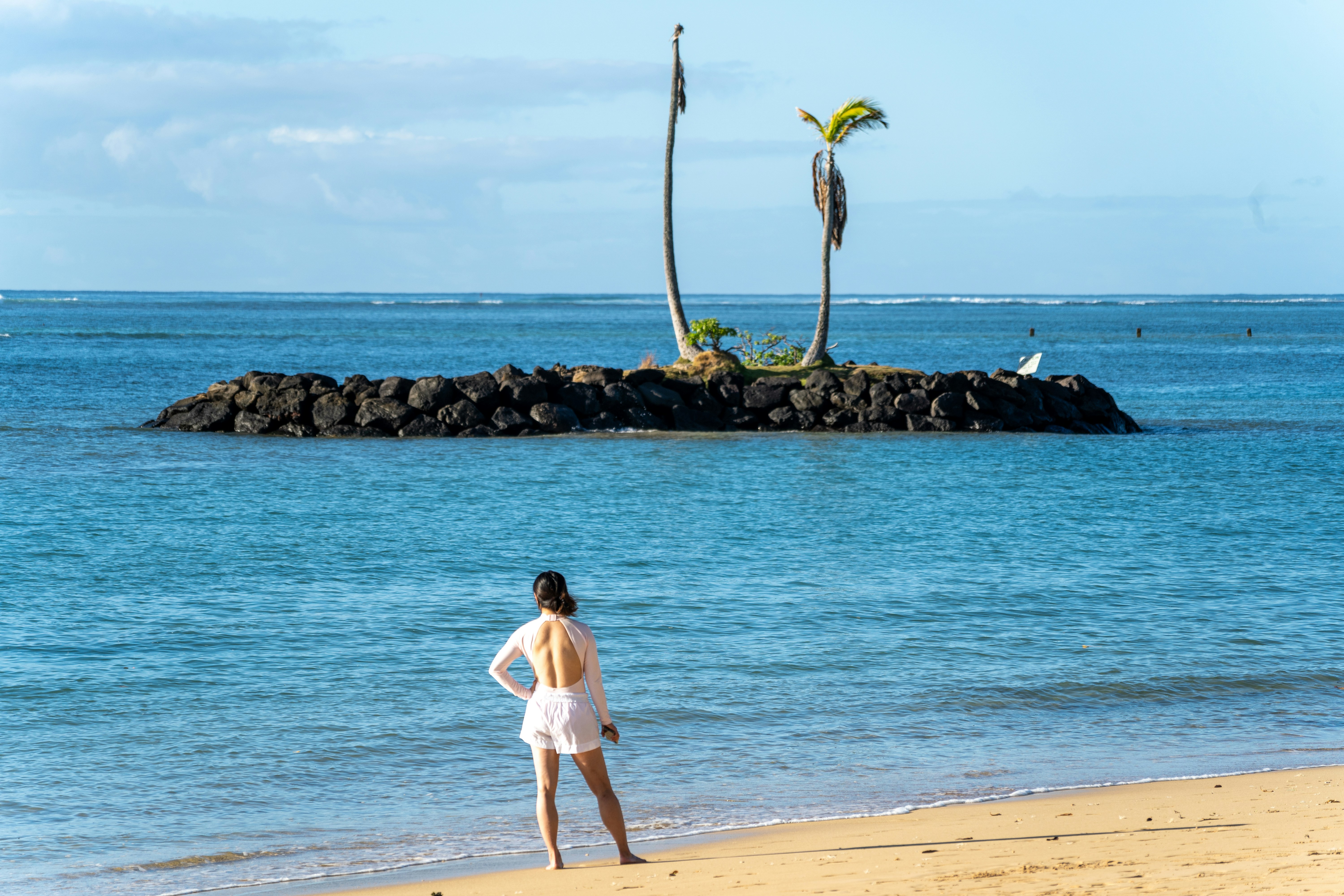 Quiet Gaze Across a Palm-Guarded Islet