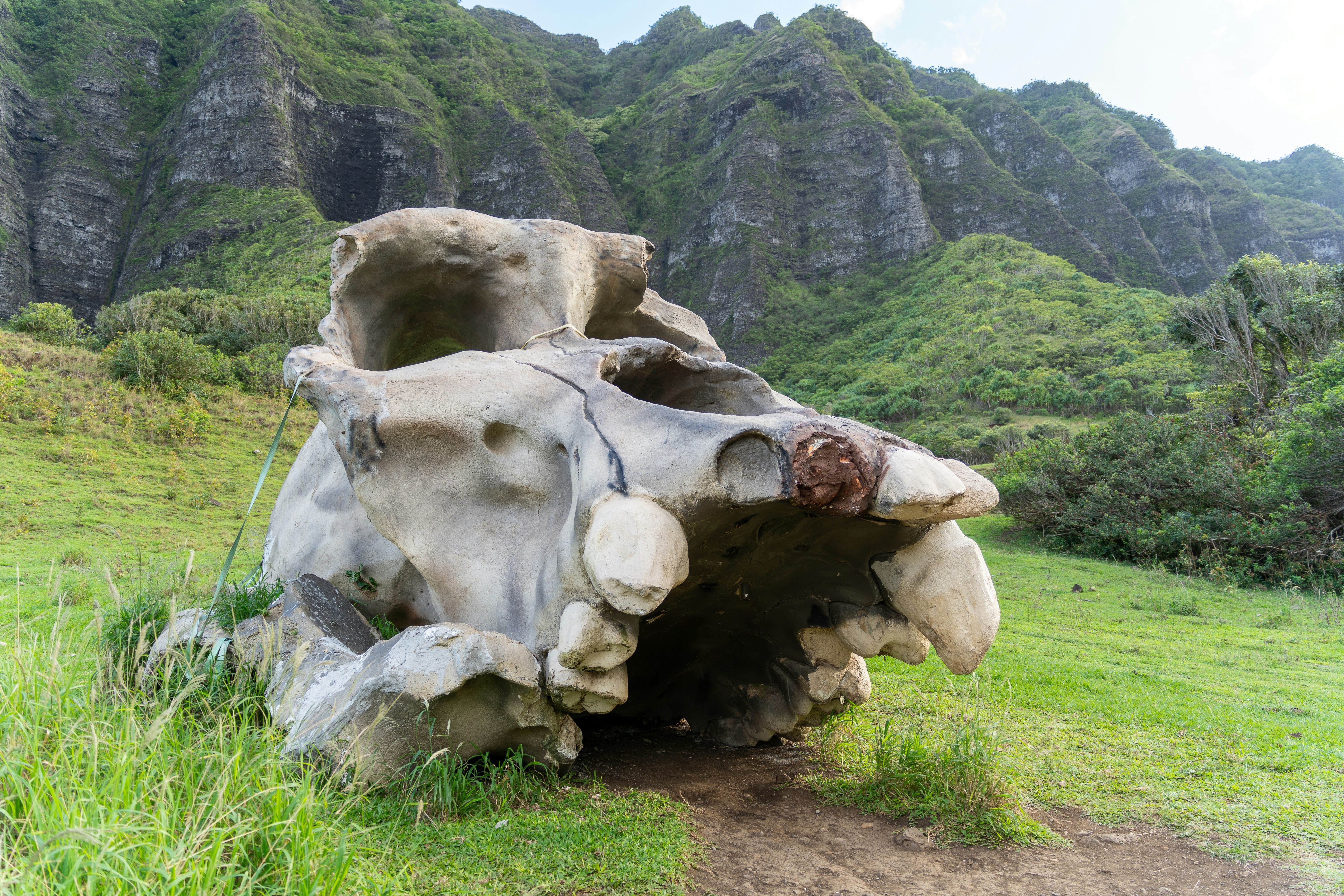Eroded Skull Rock Amid Verdant Valleys