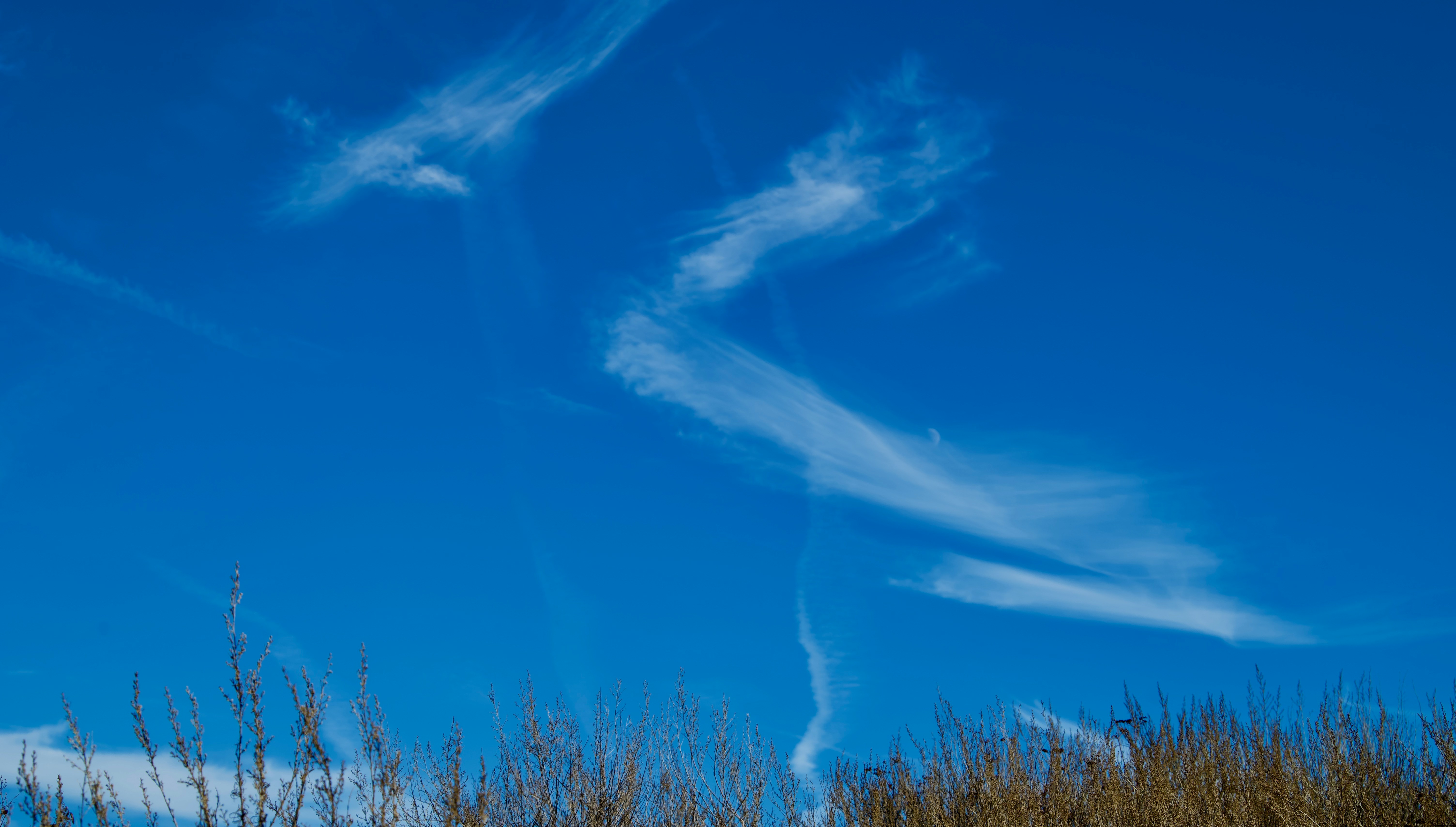 Cirrus Threads Over a Quiet Blue Sky