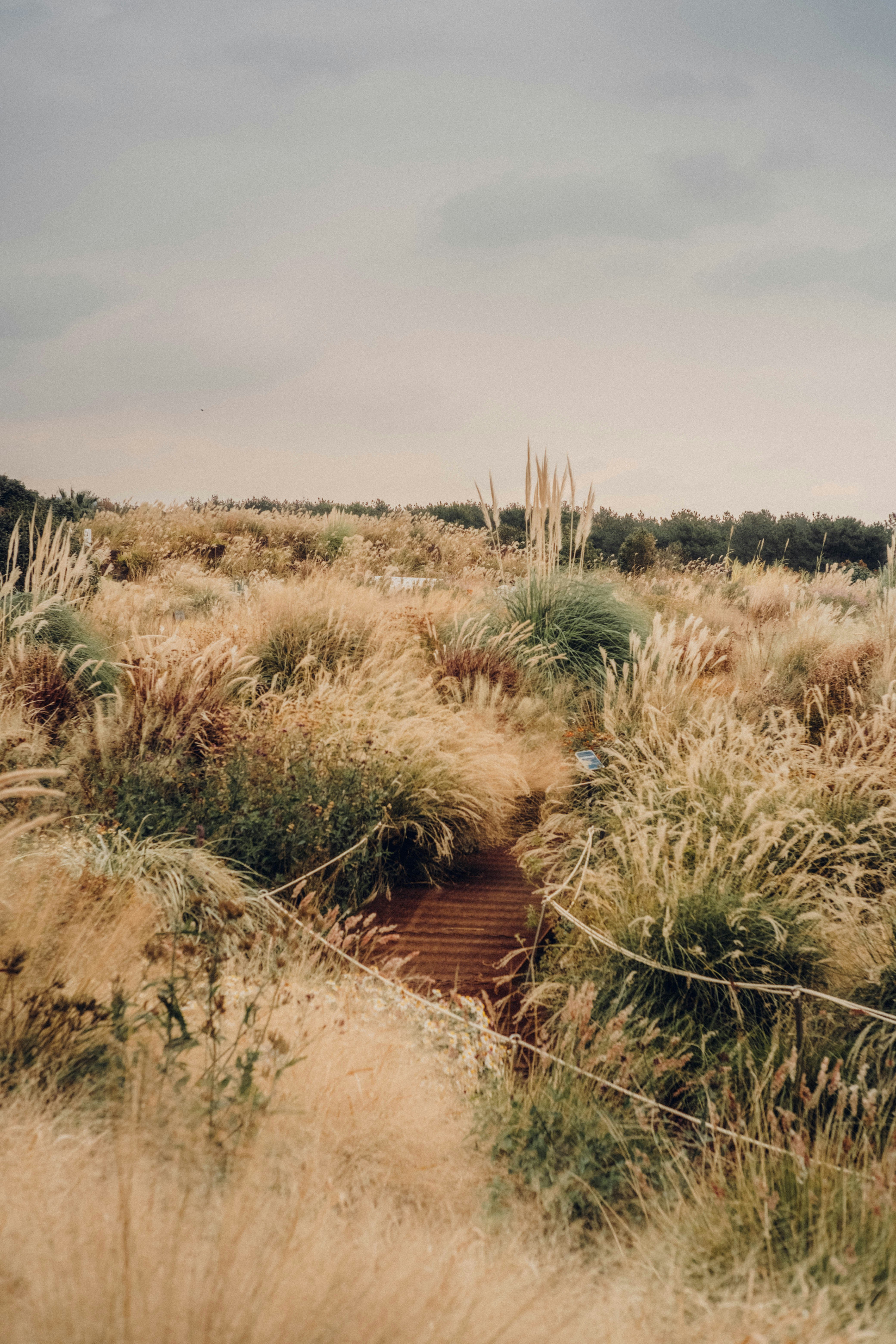 Bundo Kim (@bundo) | Unsplash Photo Community