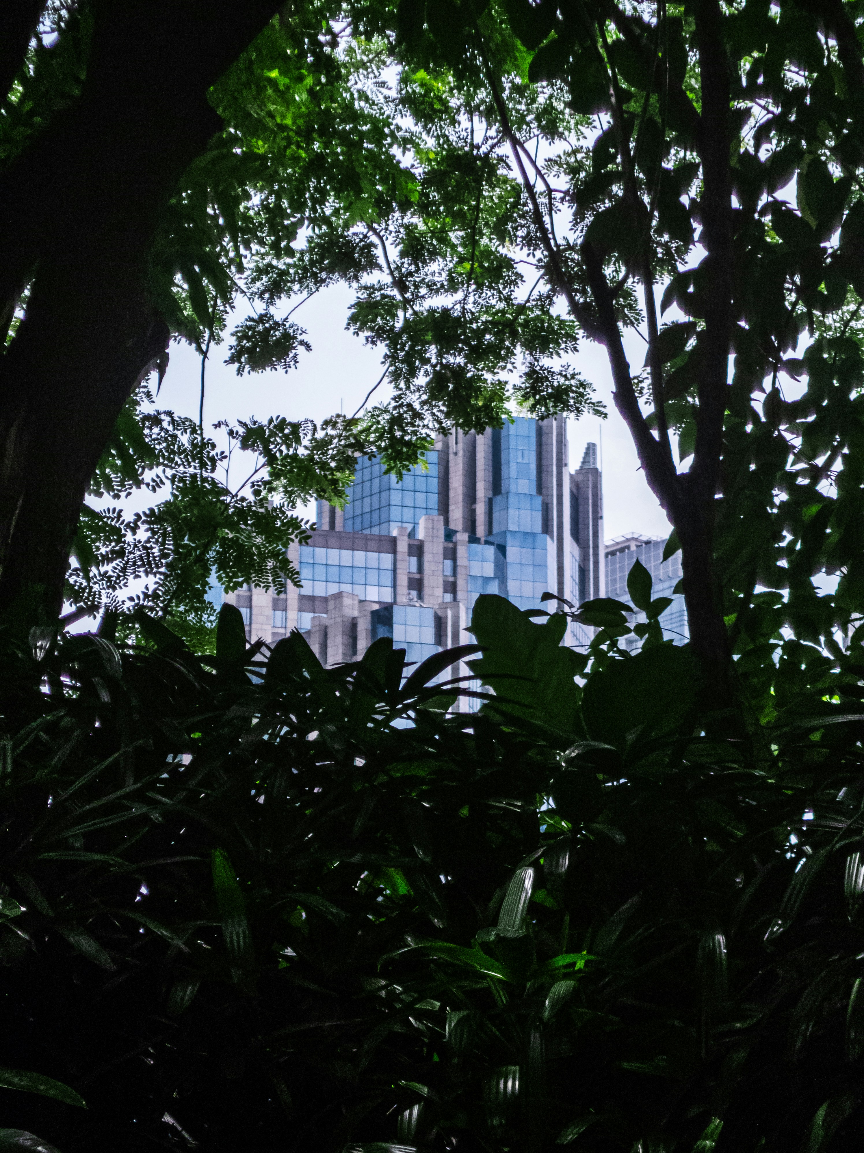 A city revealed itself to you.
