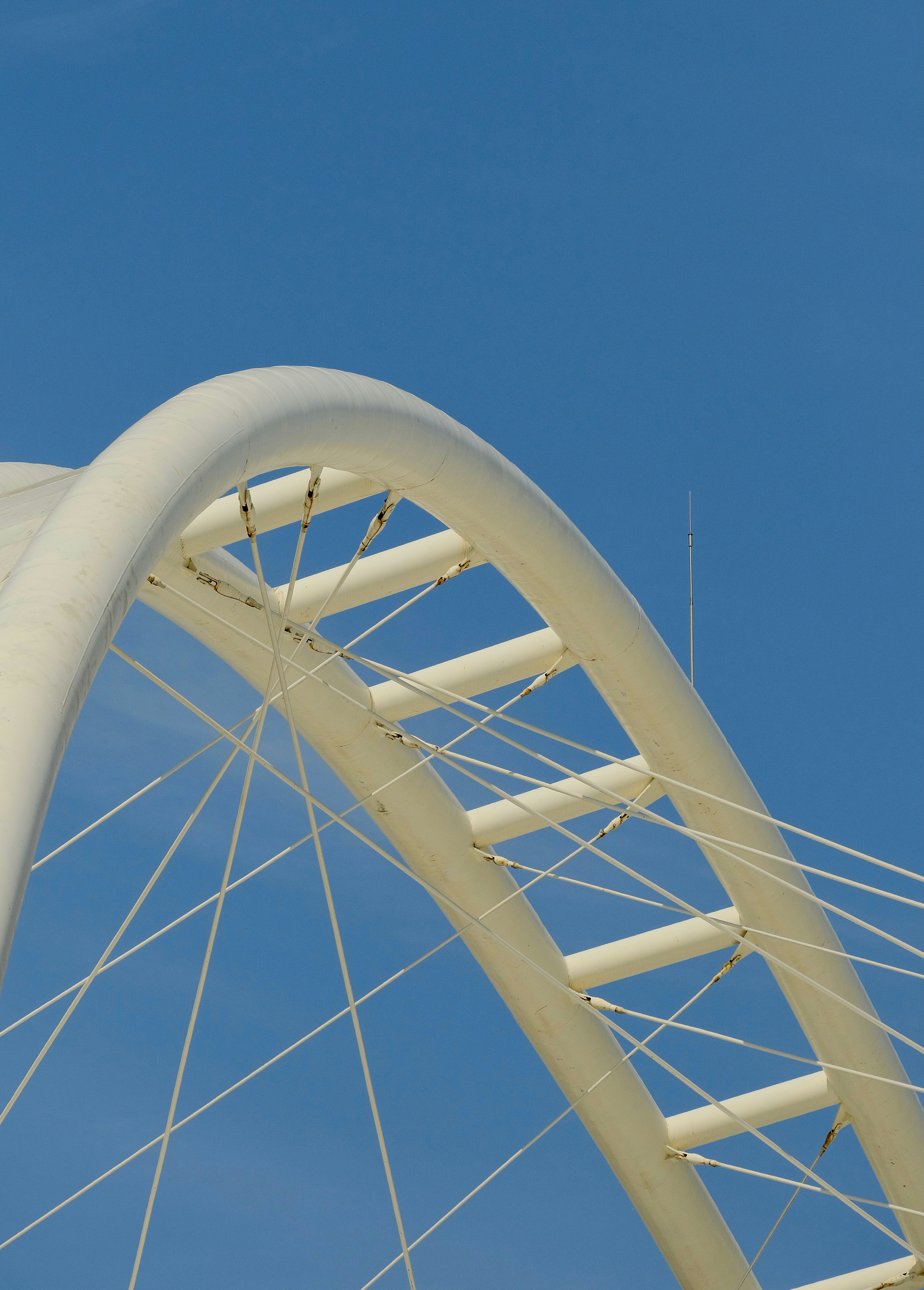 Zhengda Gymnasium, Fudan University