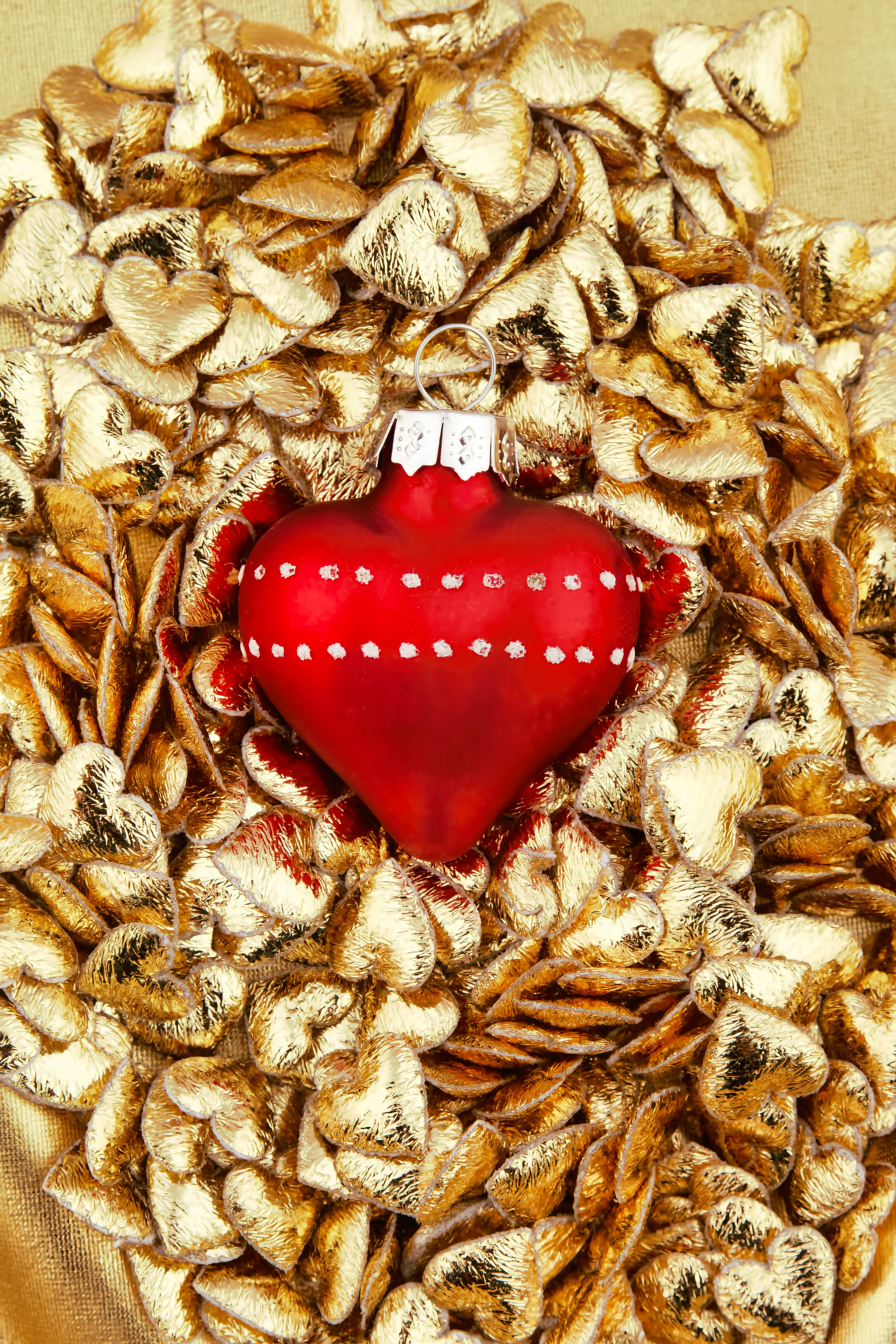 Crimson Heart Ornament Nestled in a Golden Sea of Seed Pods