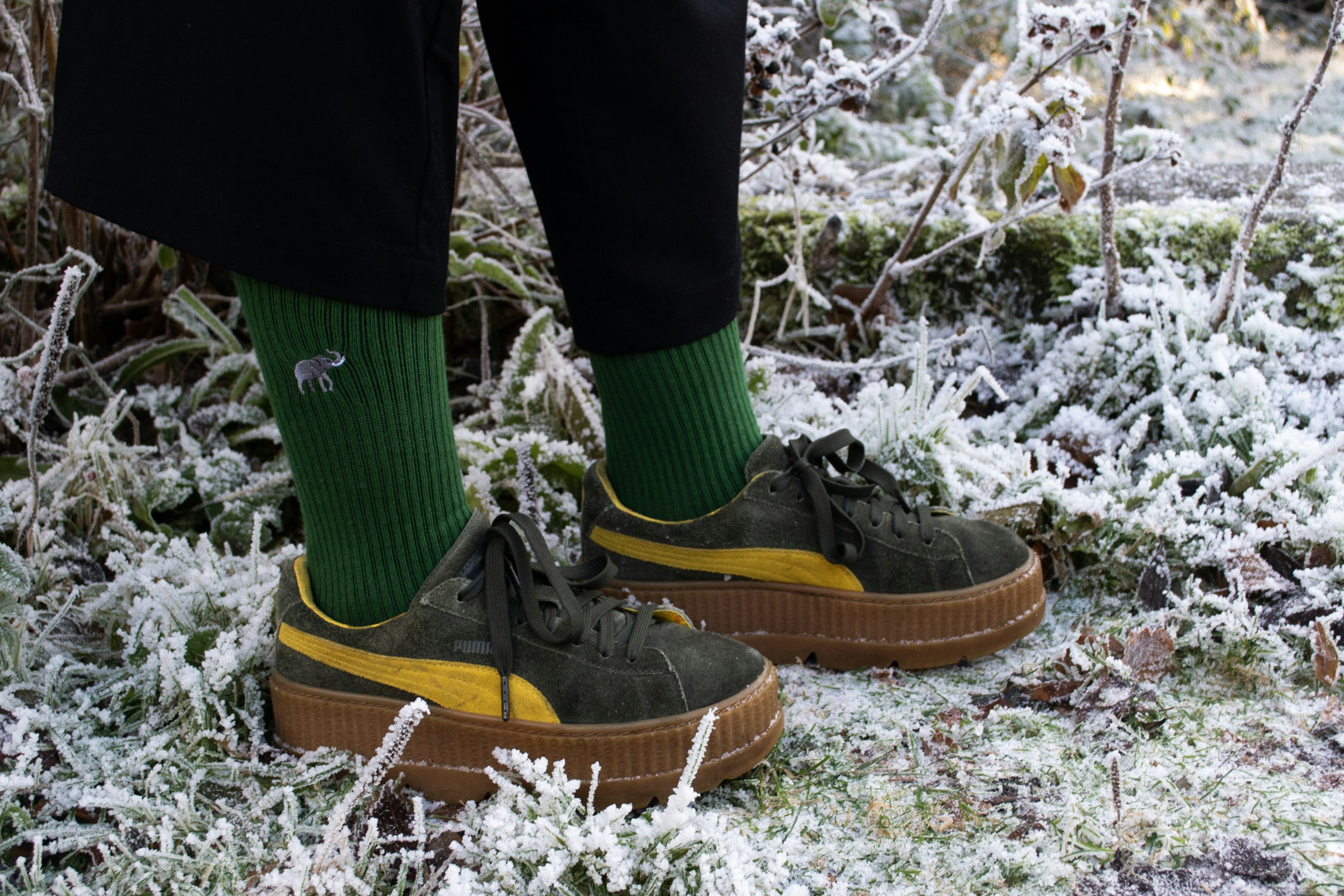 Olive Sneakers and Neon Socks on Frosted Grass