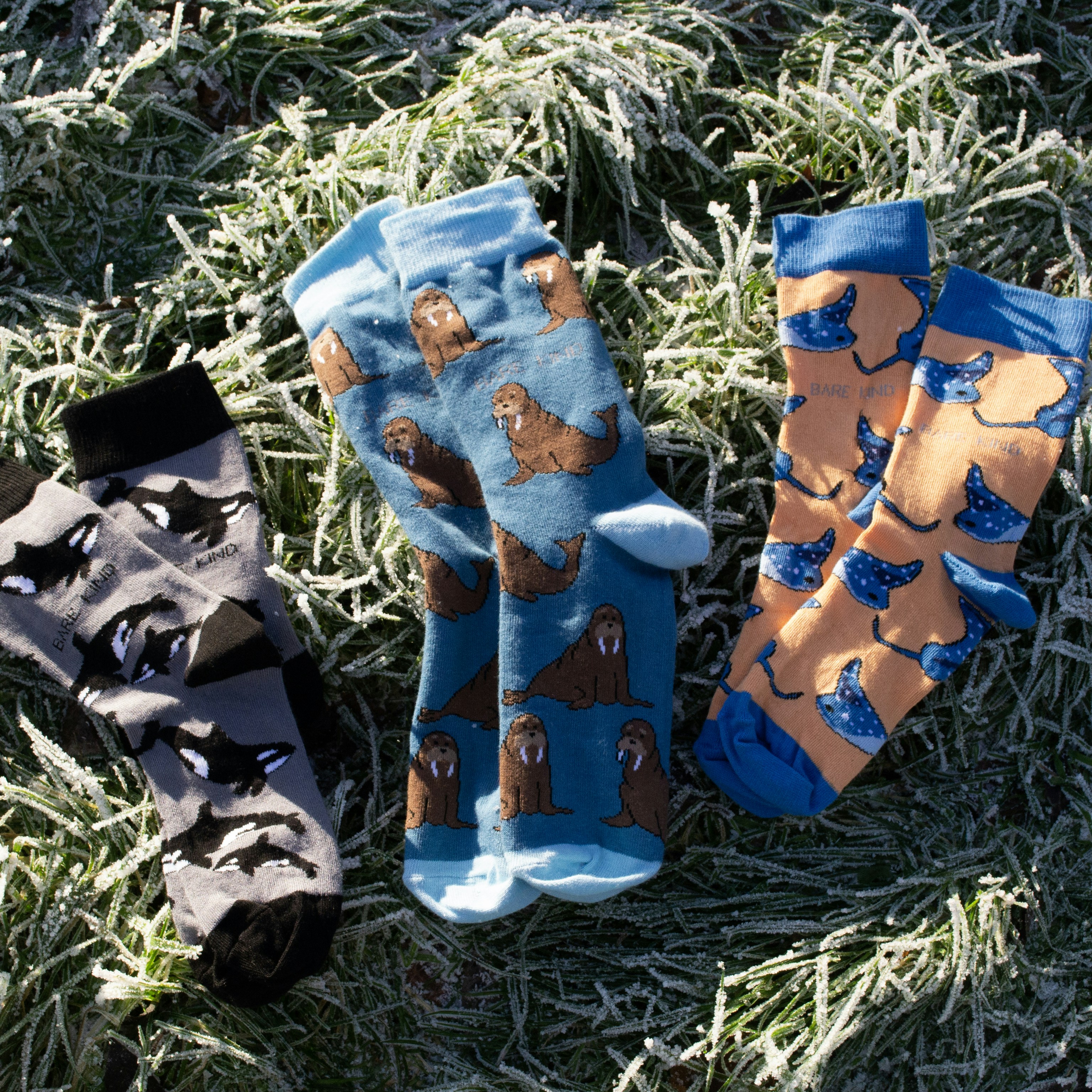 Sock Still-Life on Frosted Grass: A Parade of Animal Patterns