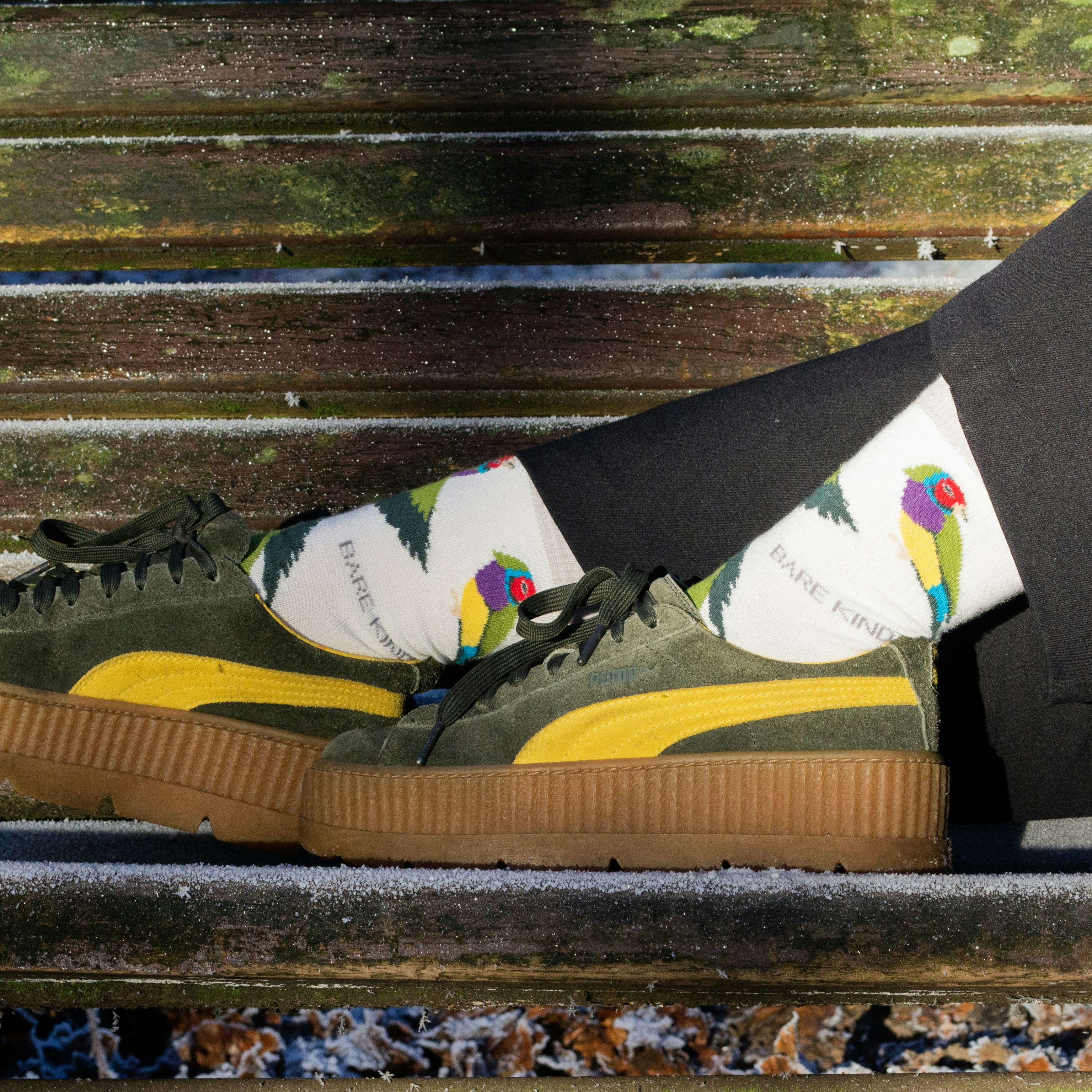 Colorful Sneaker Pair Anchored on a Snow-dusted Bench