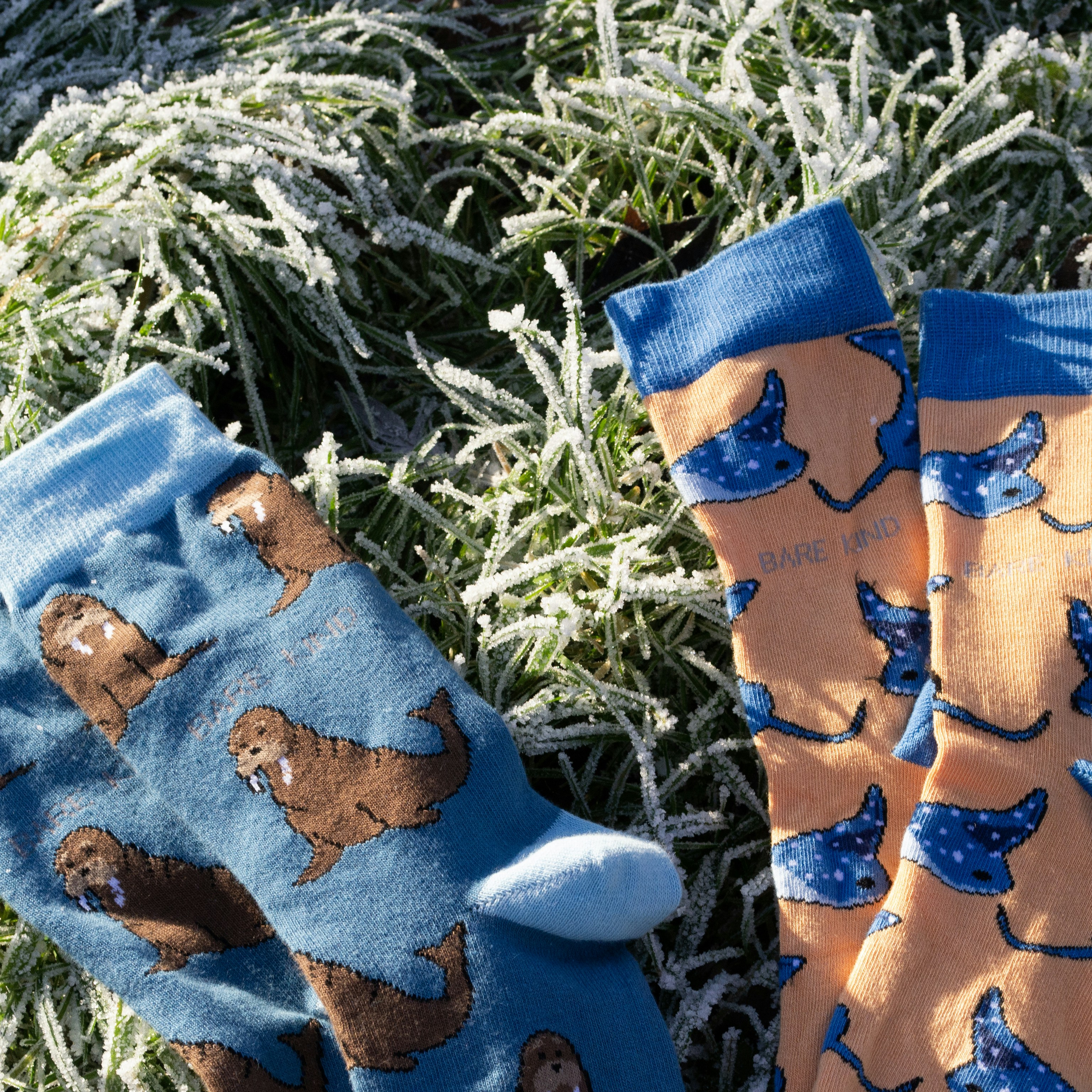 Playful Frosted Hands: Socks with Sea Otter and Whale Patterns in Morning Light