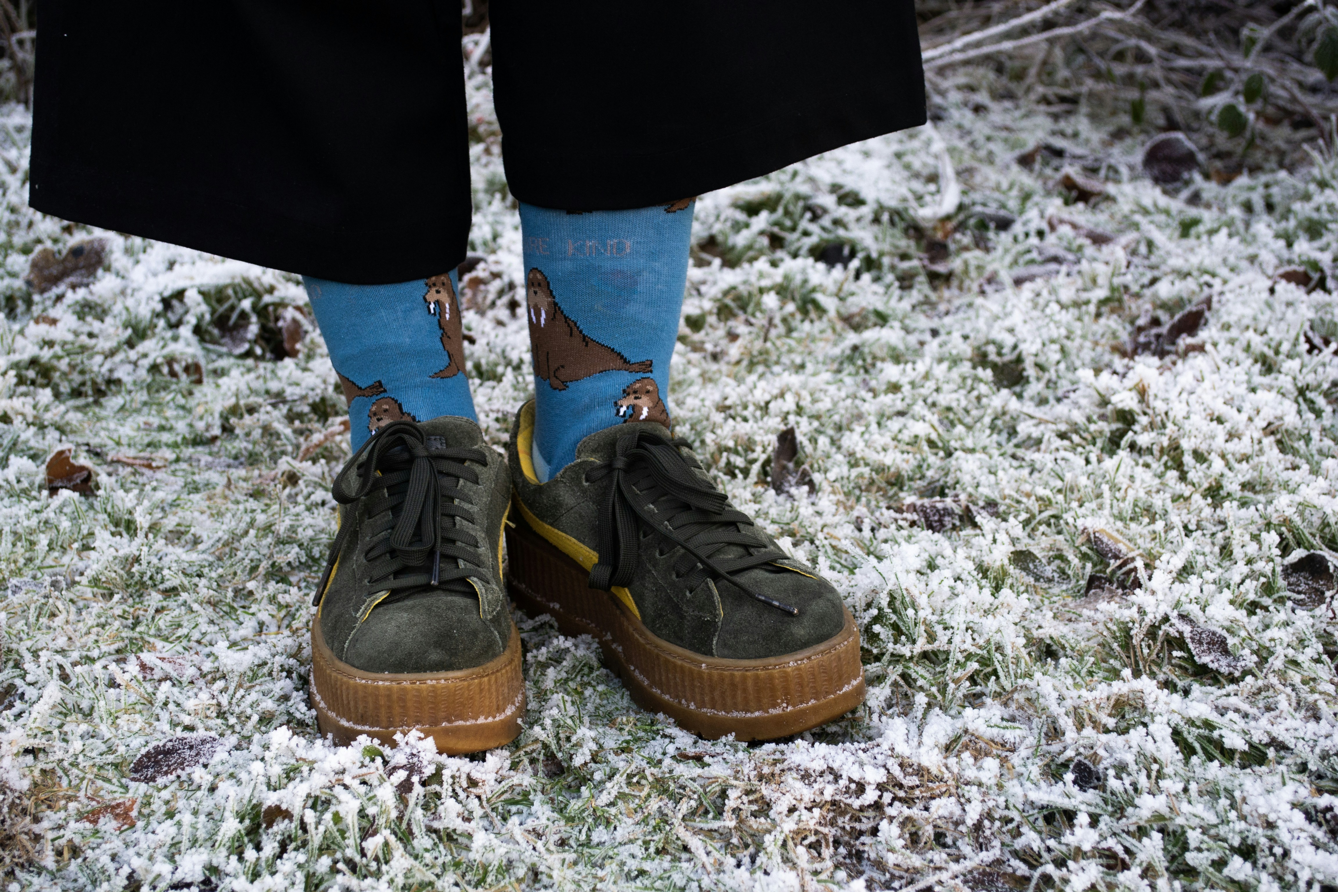 Snow-dusted sidewalk footwear: colorful socks and rugged shoes in a frosted setting
