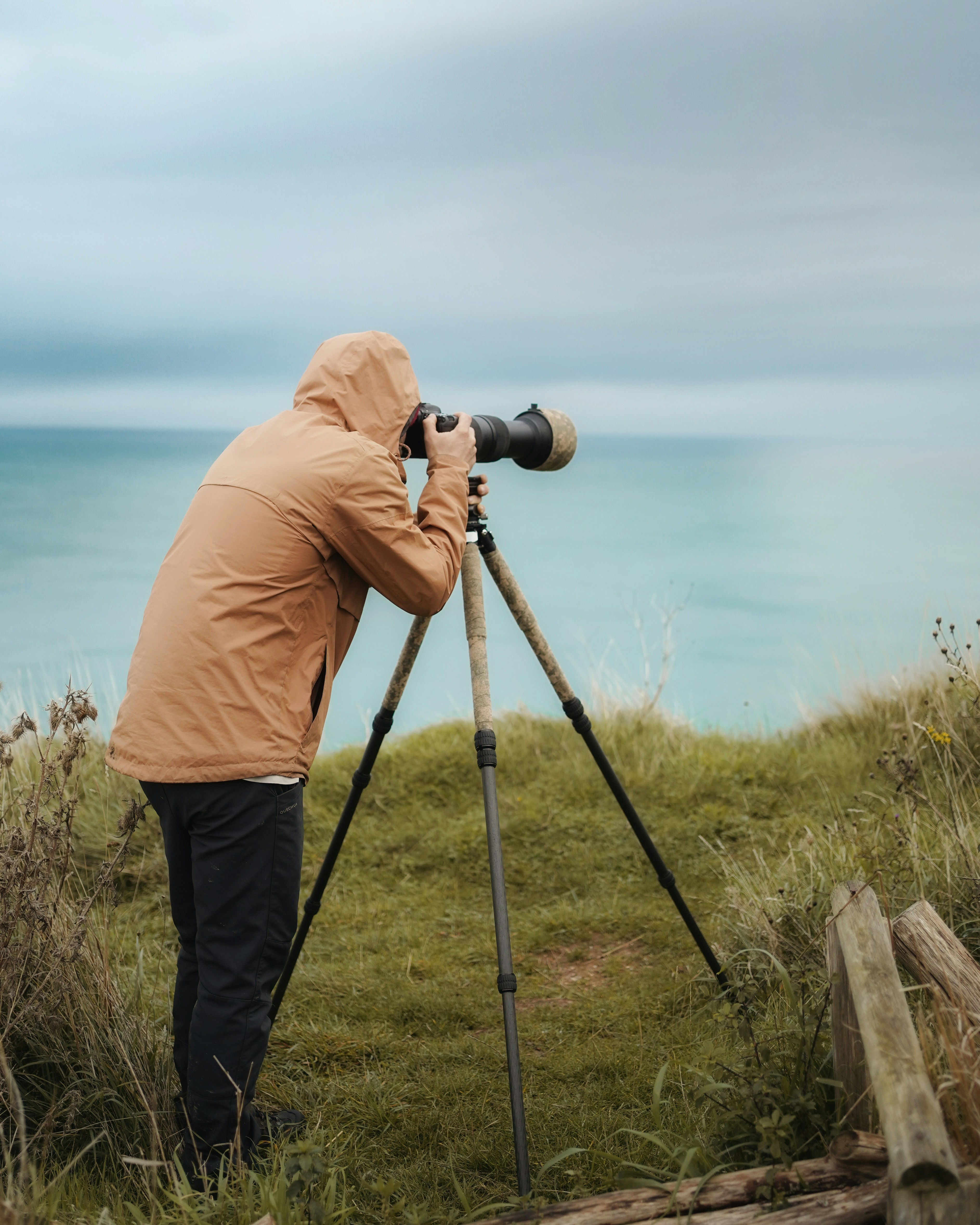 Scenic Wildlife Photographer