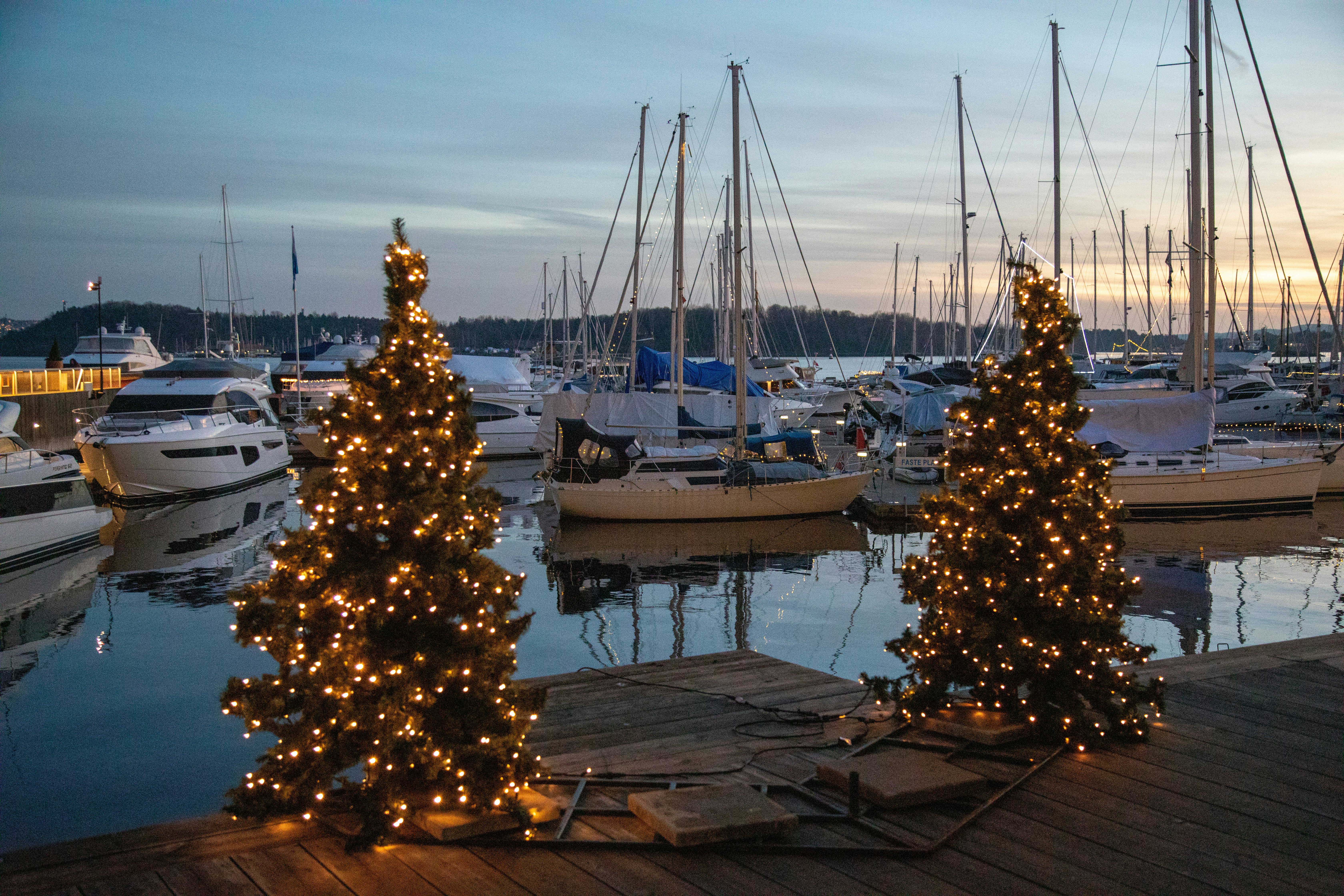 A marina filled with lots of boats and christmas trees photo – Free ...