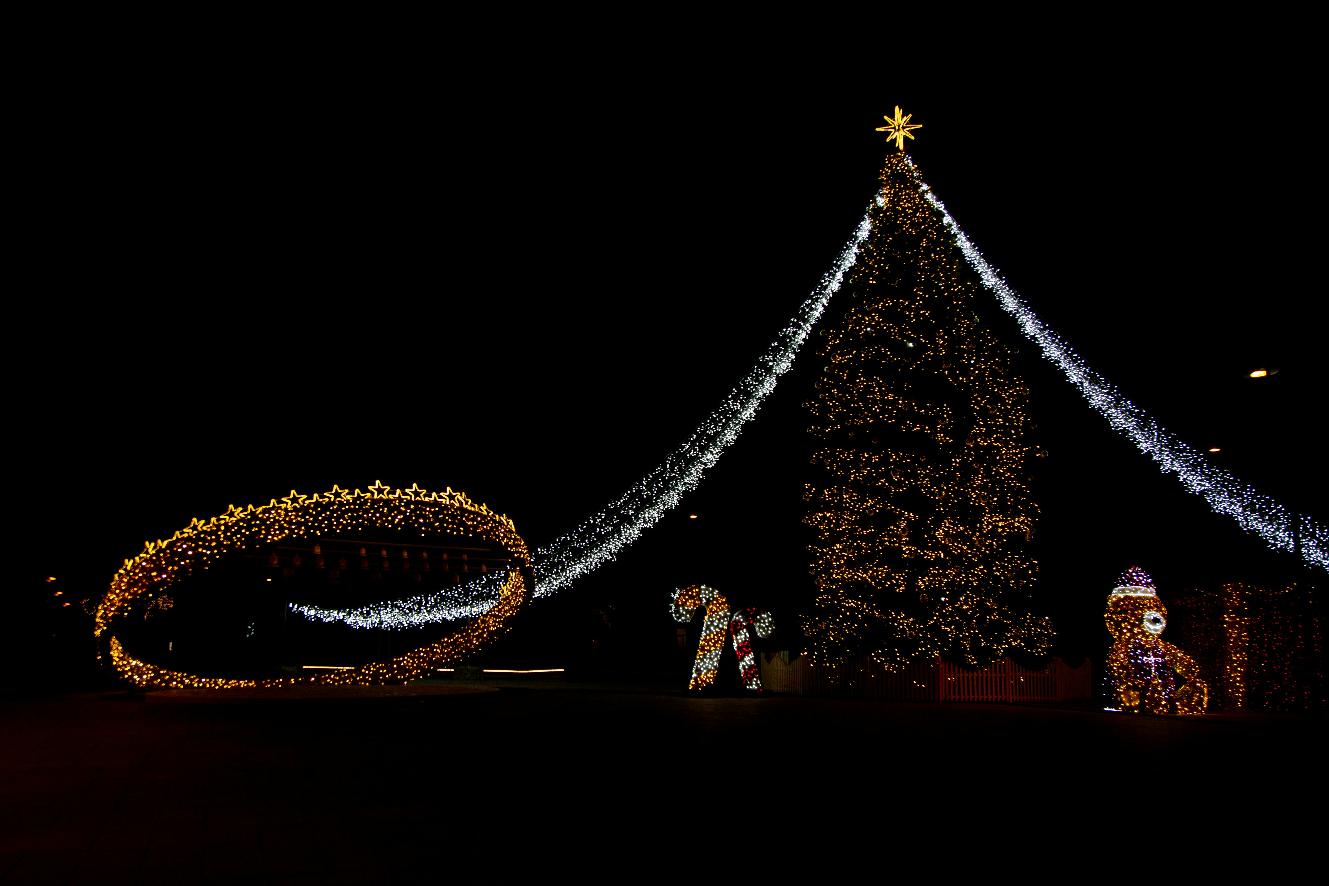 Photo by KAi'S PHOTOGRAPHY with Canon EOS 6D