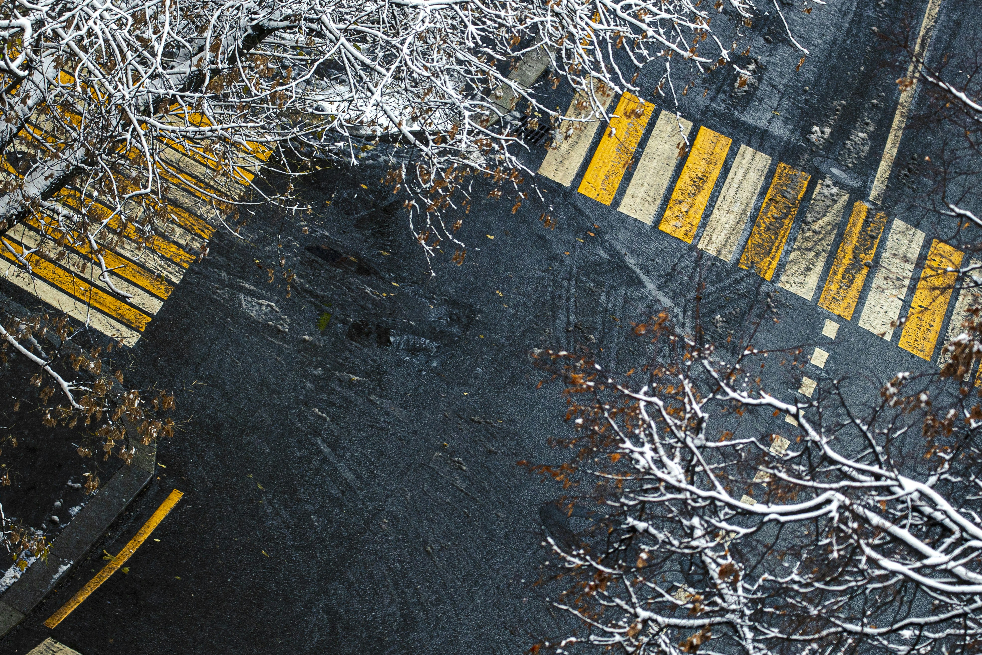 Winter Crosswalk from Above: A Quiet City Intersection