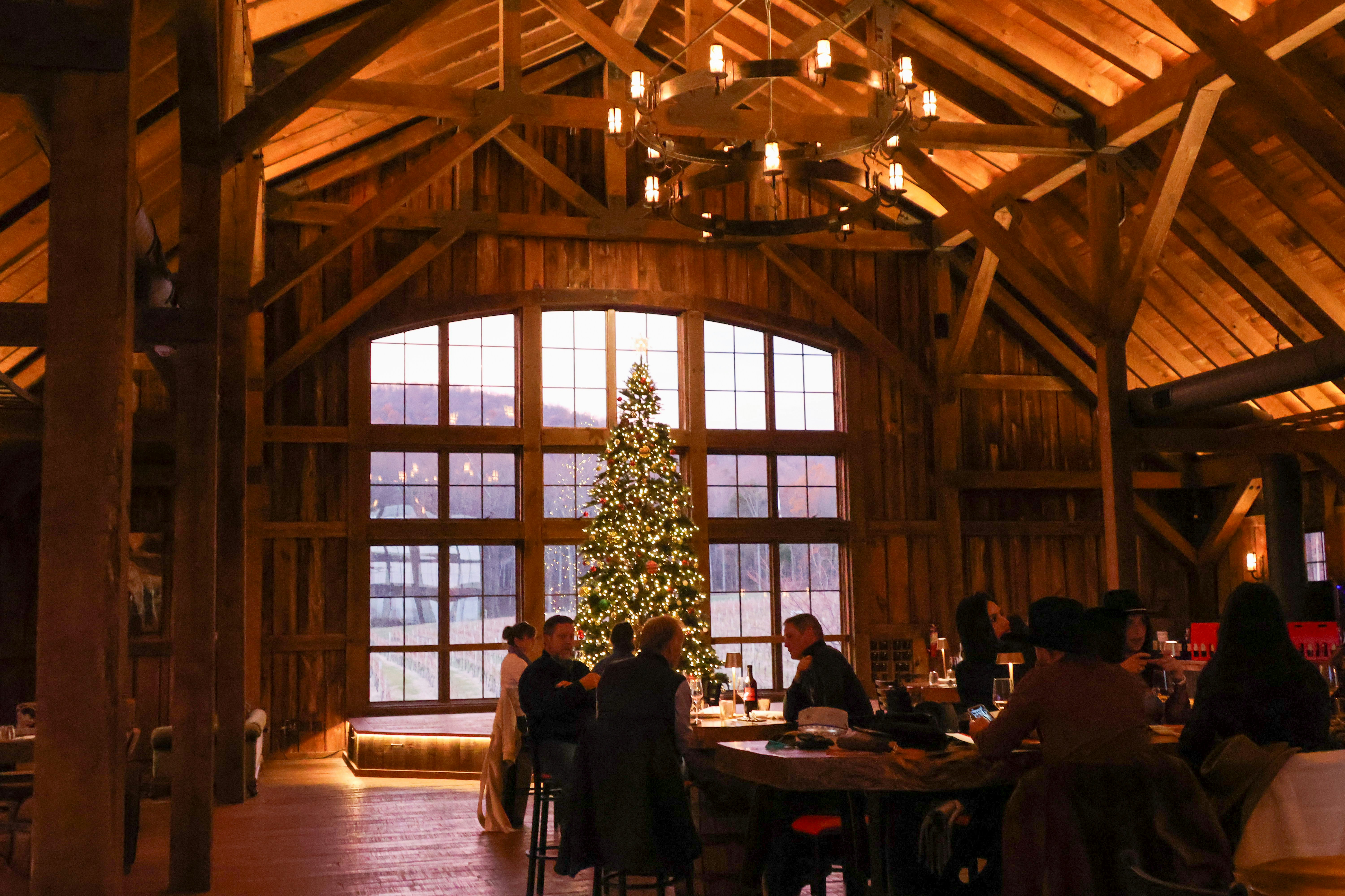 Warm glow of holiday gathering under timber pavilion with a centerpiece tree