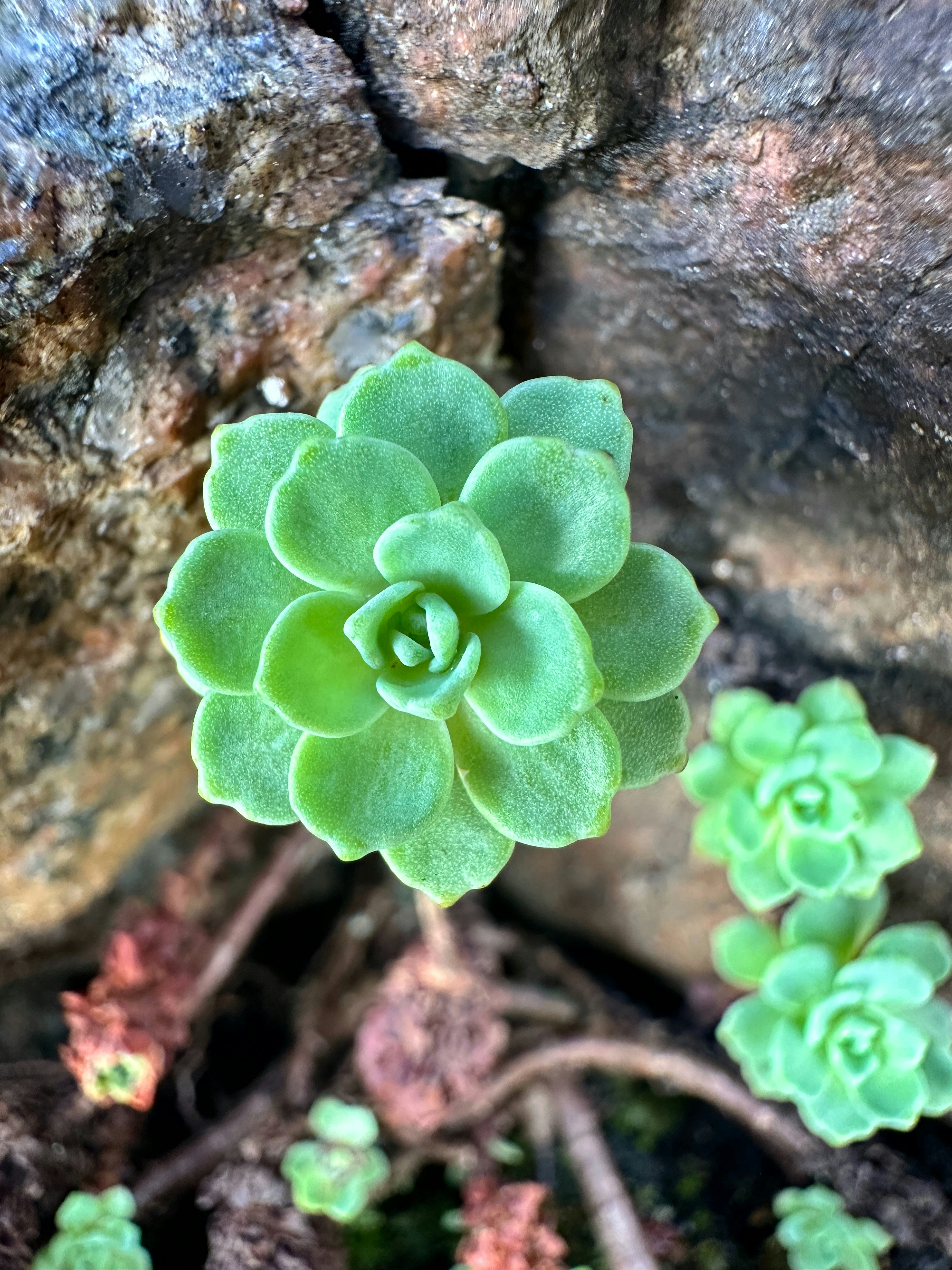 Erik Gabriel Nastase (@tilted_dev) | Unsplash Photo Community