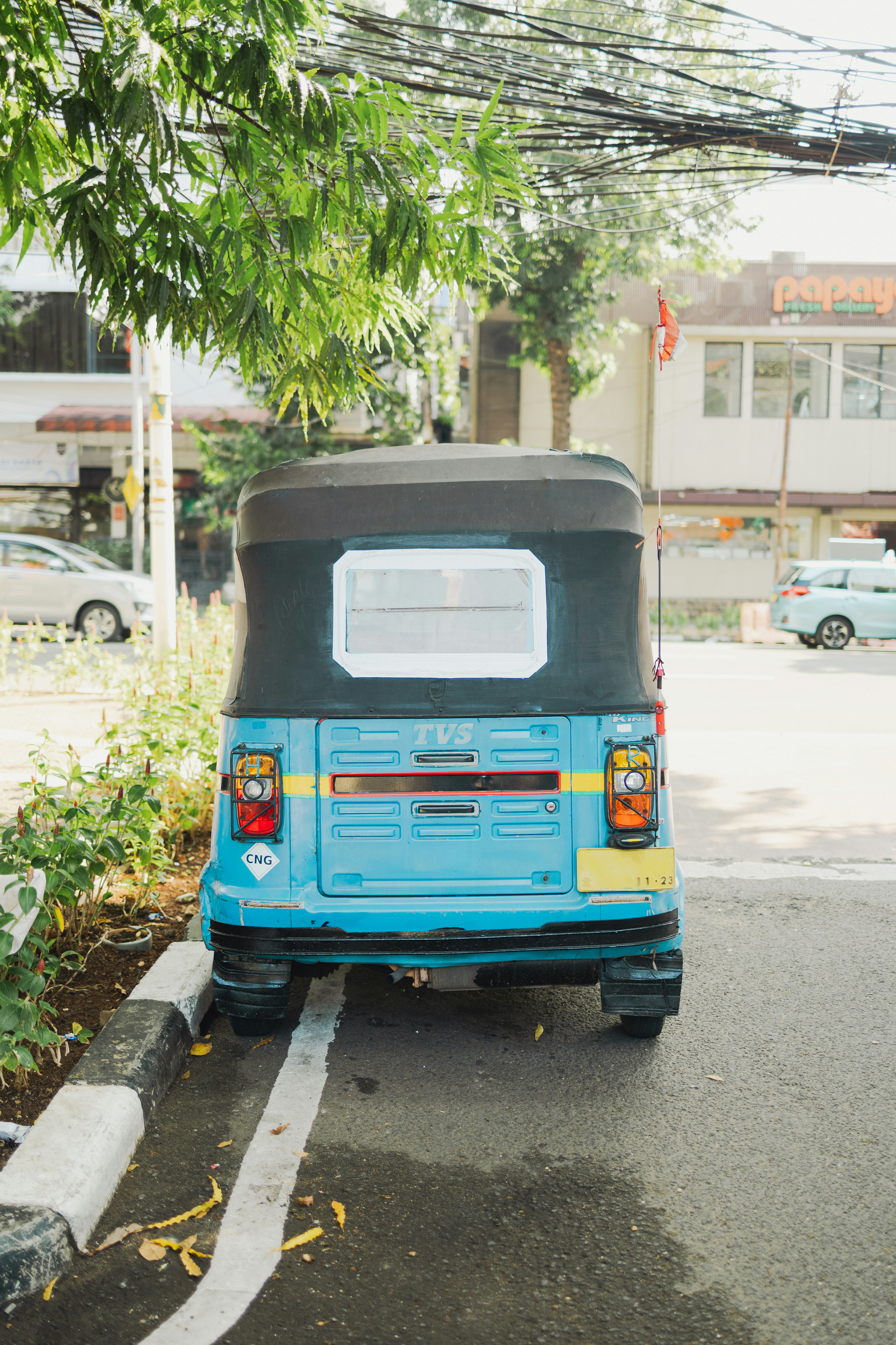 Photo by Jeremia Nathanael with Canon EOS R8