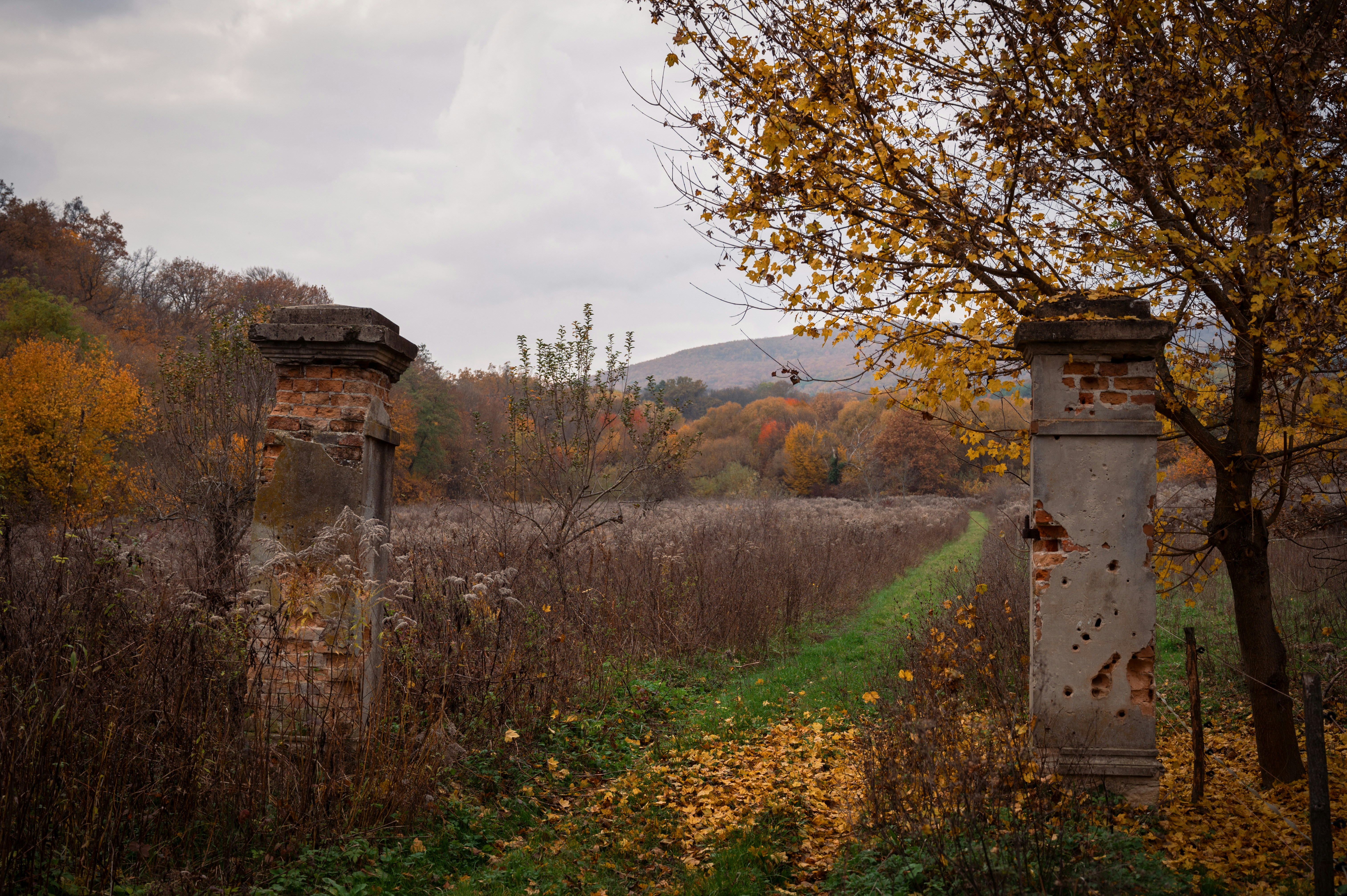 Through the Autumn Gate: A Quiet Path Between Weathered Pillars