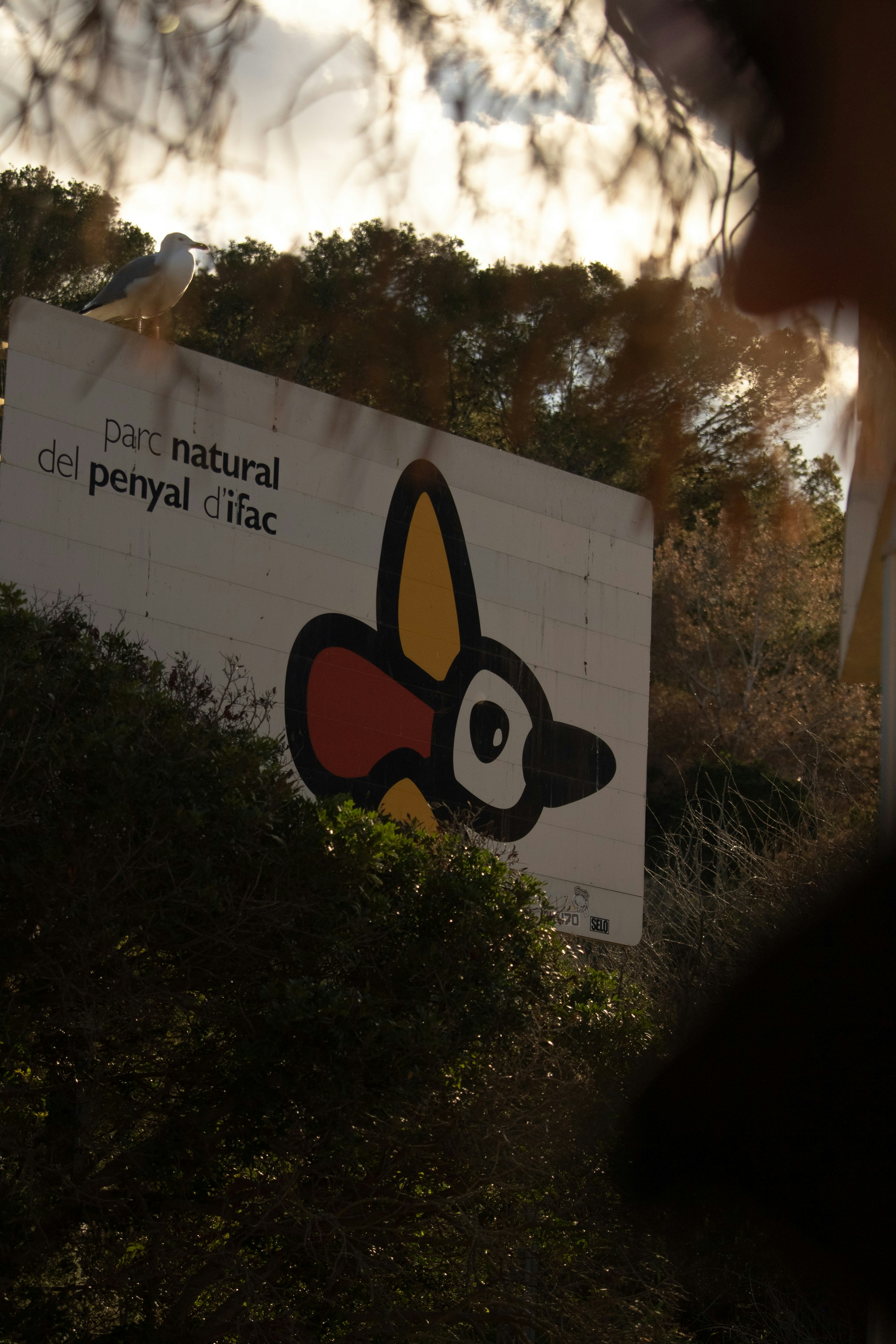 A sign with a cartoon dog on it photo – Free Calpe Image on Unsplash