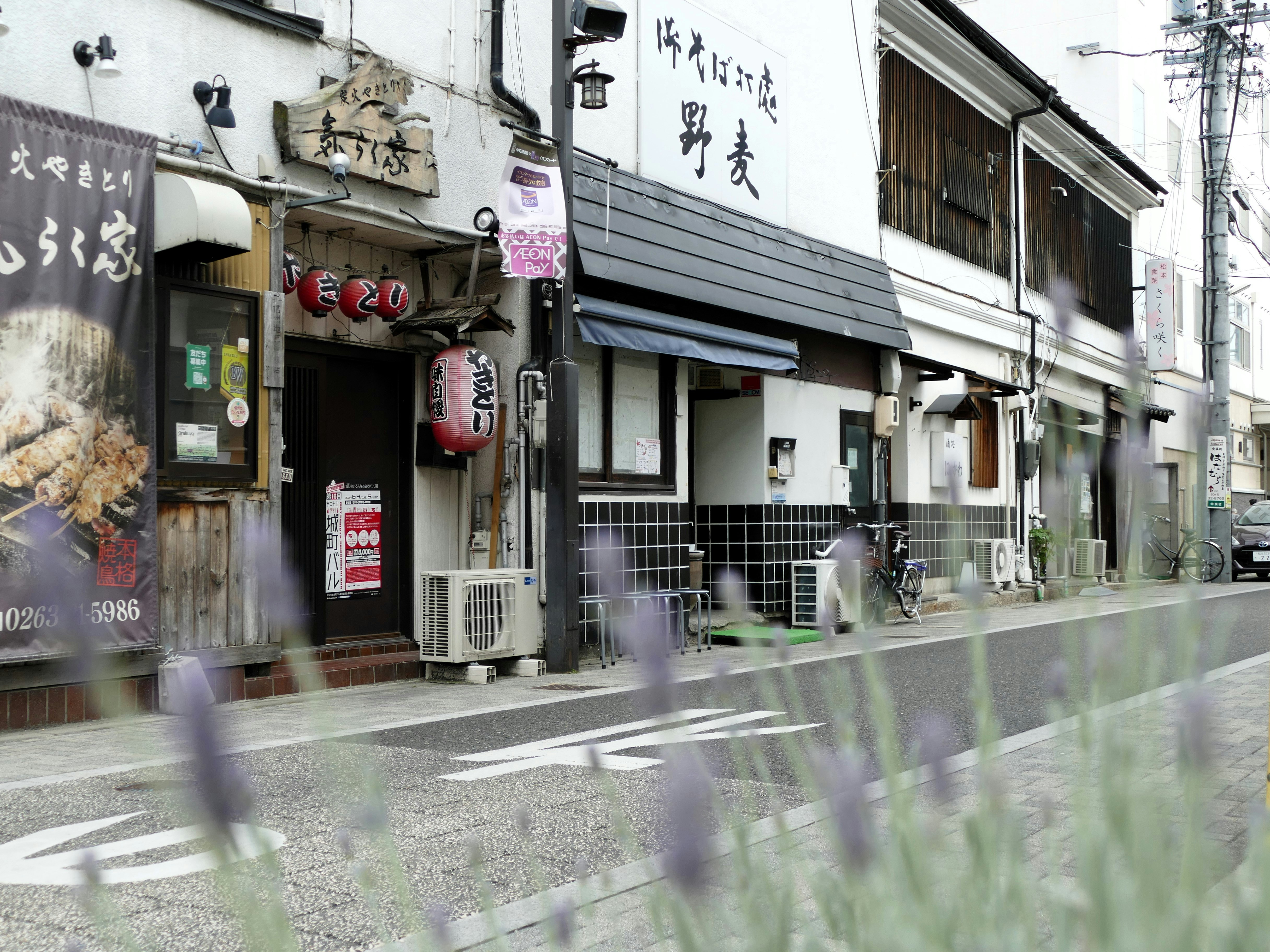 Traditional Japanese shops line a quiet street with lavender in the foreground.