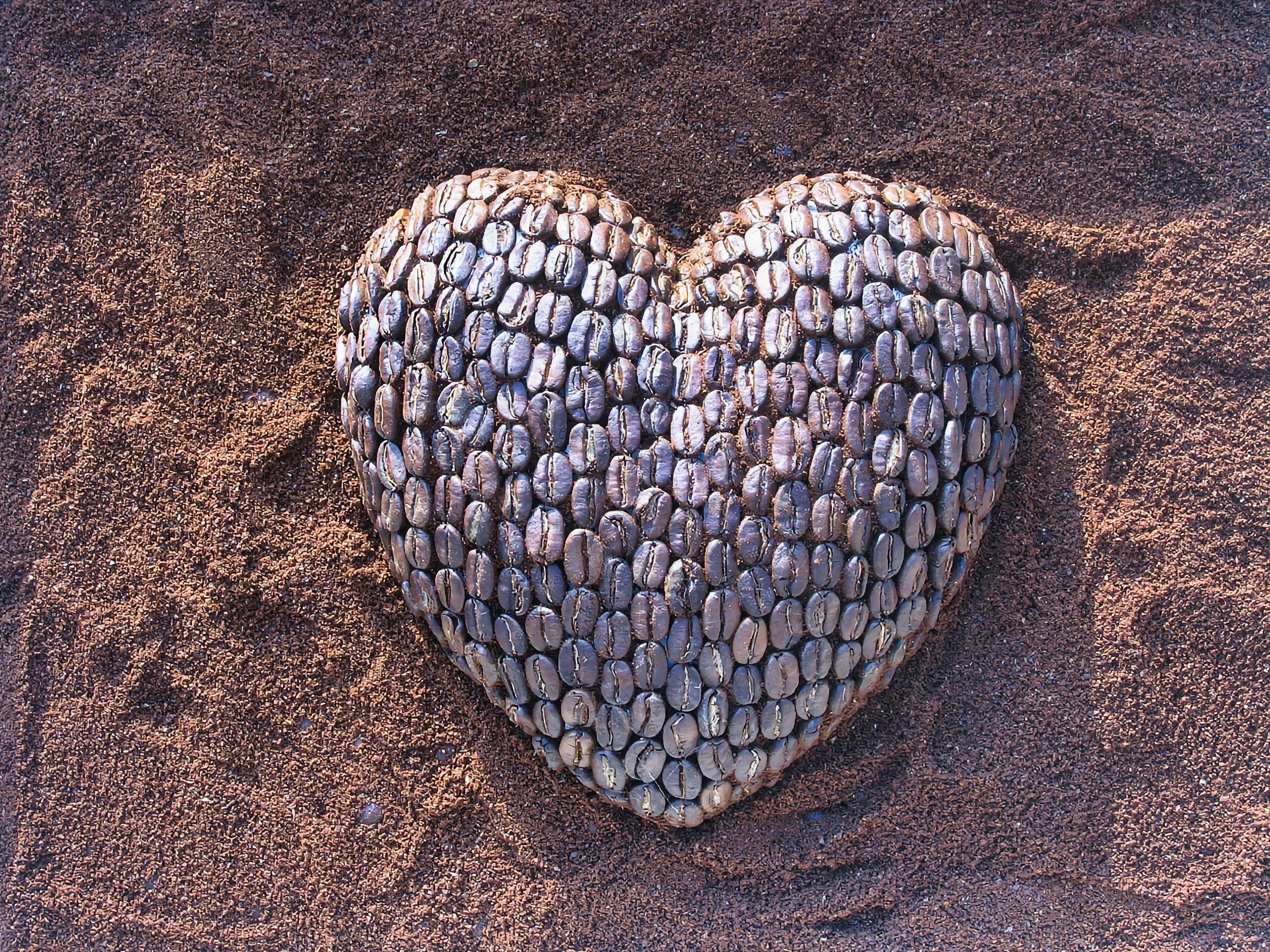 Sample photo from Canon PowerShot A95