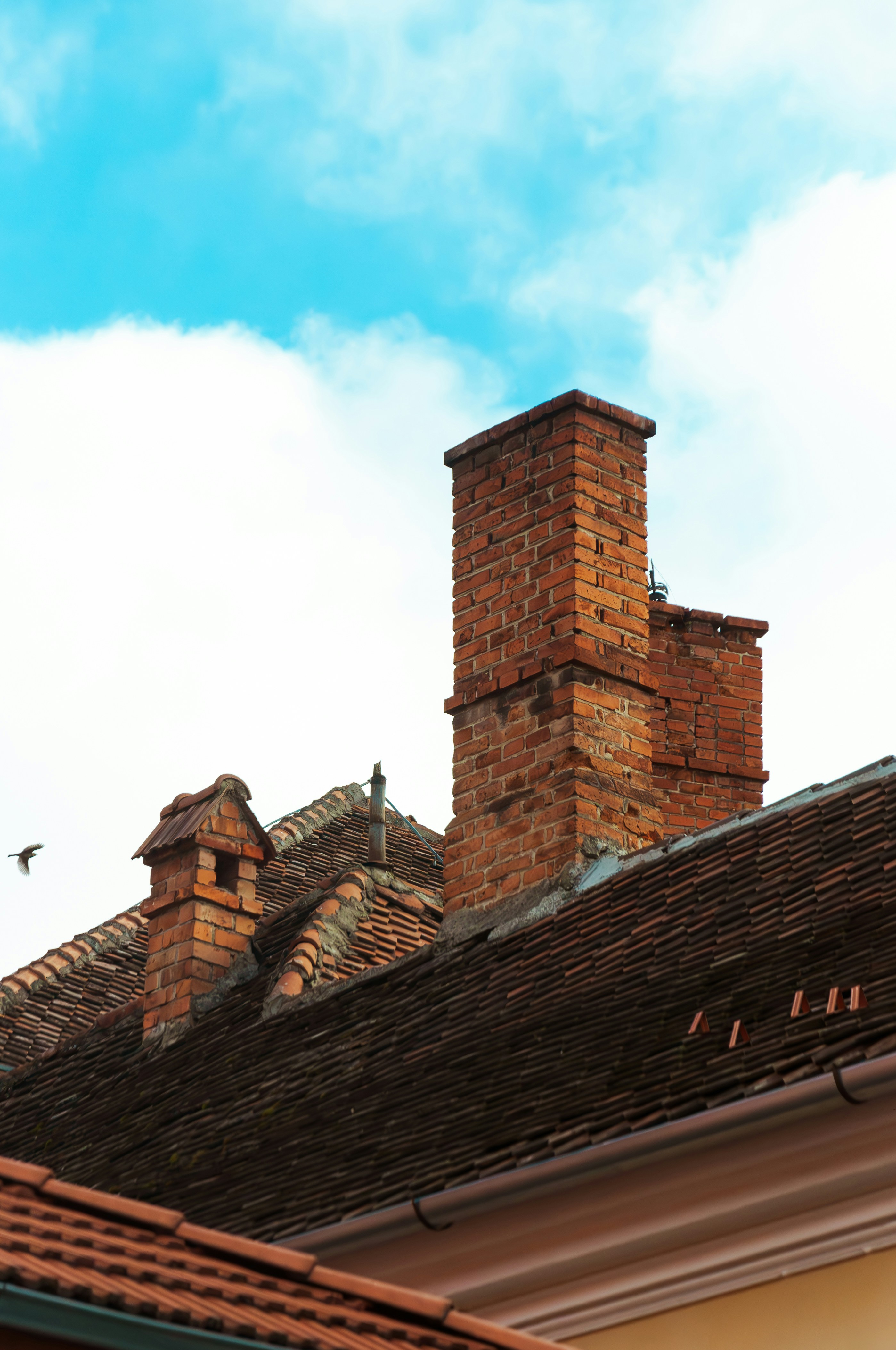 Photo by Andrea Graziano Gervasoni with Nikon D90