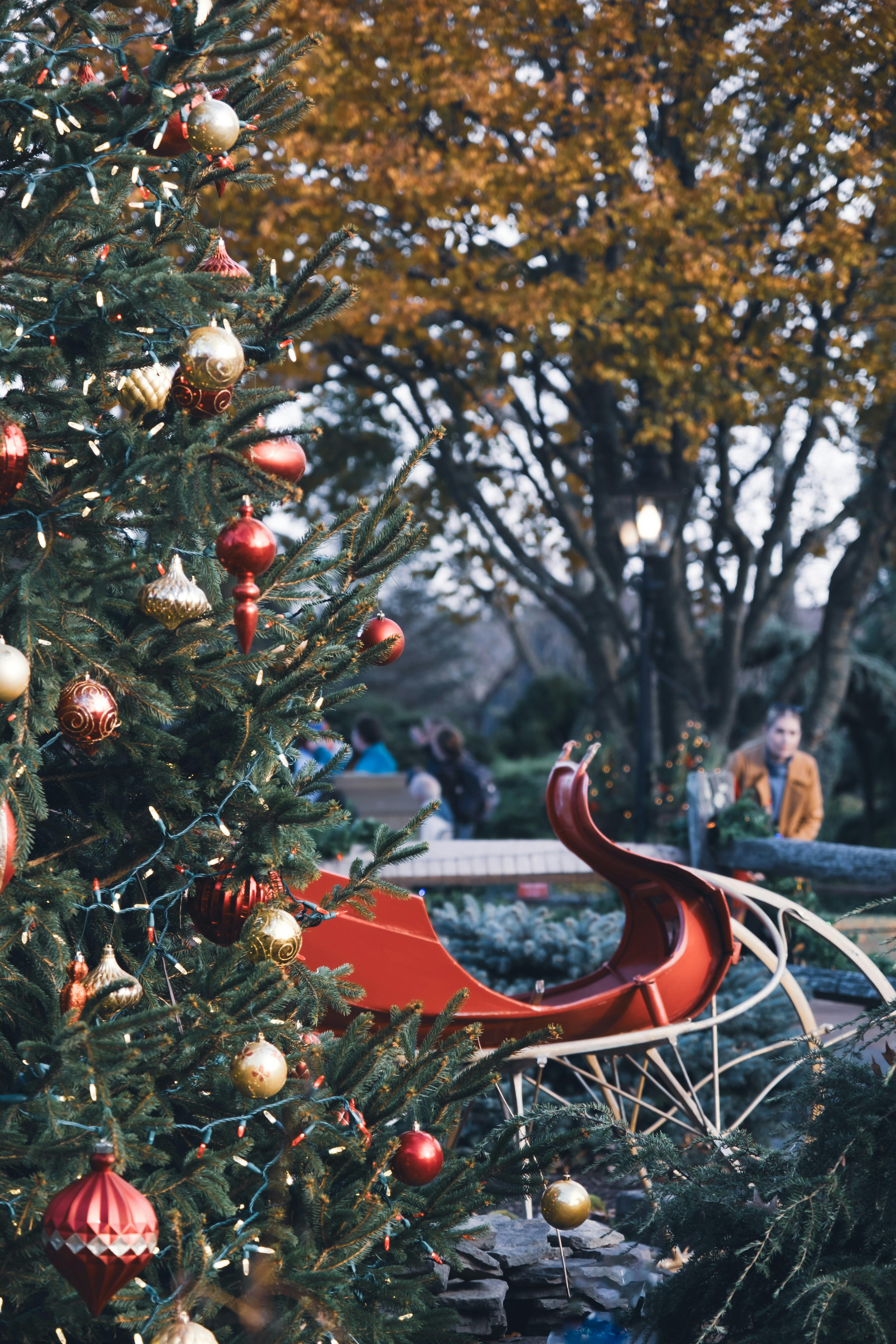 Yuletide in Focus: A Festive Tree Framing a Snowy Parade